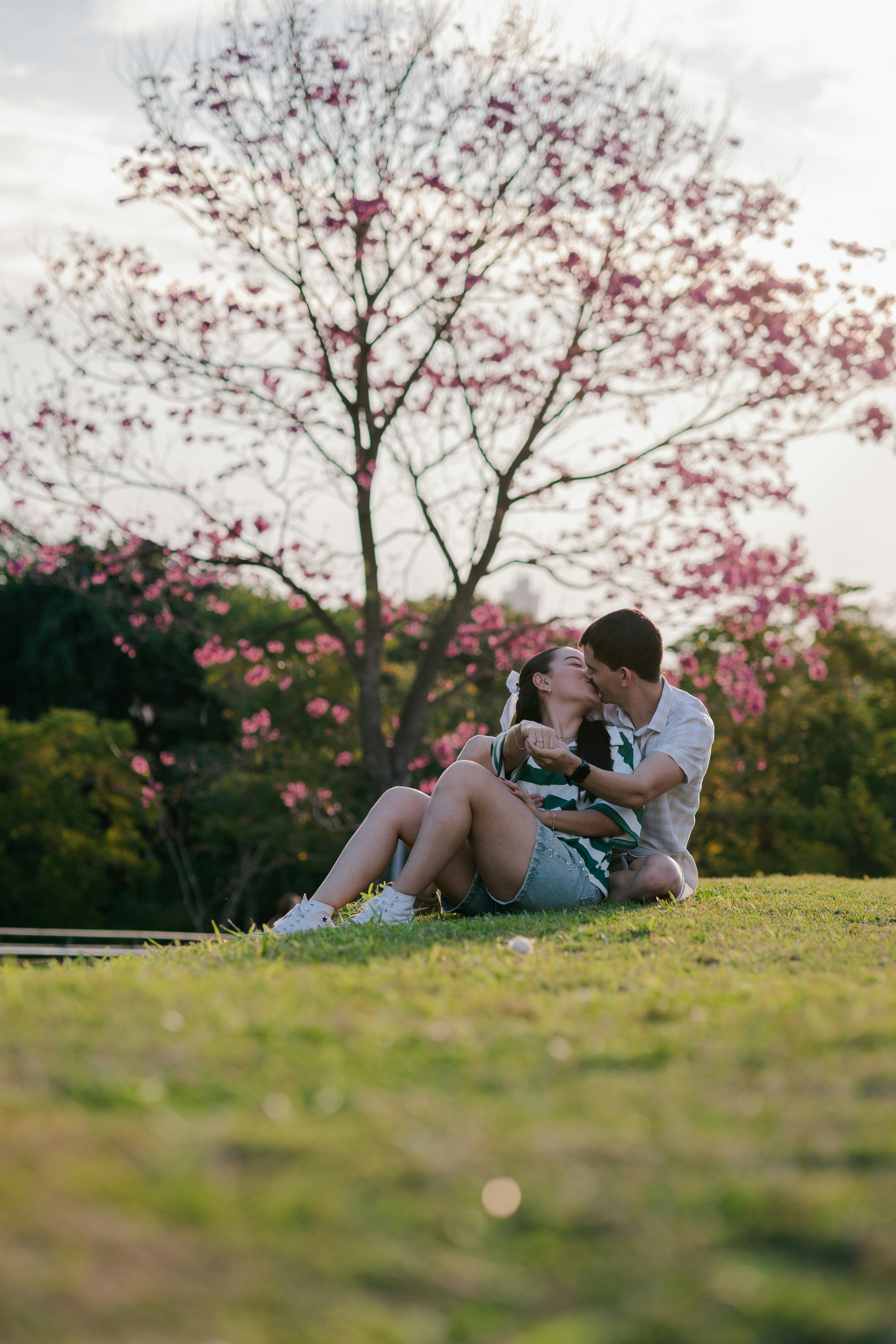 Cherry Blossom Embrace: A Quiet Moment on the Hill