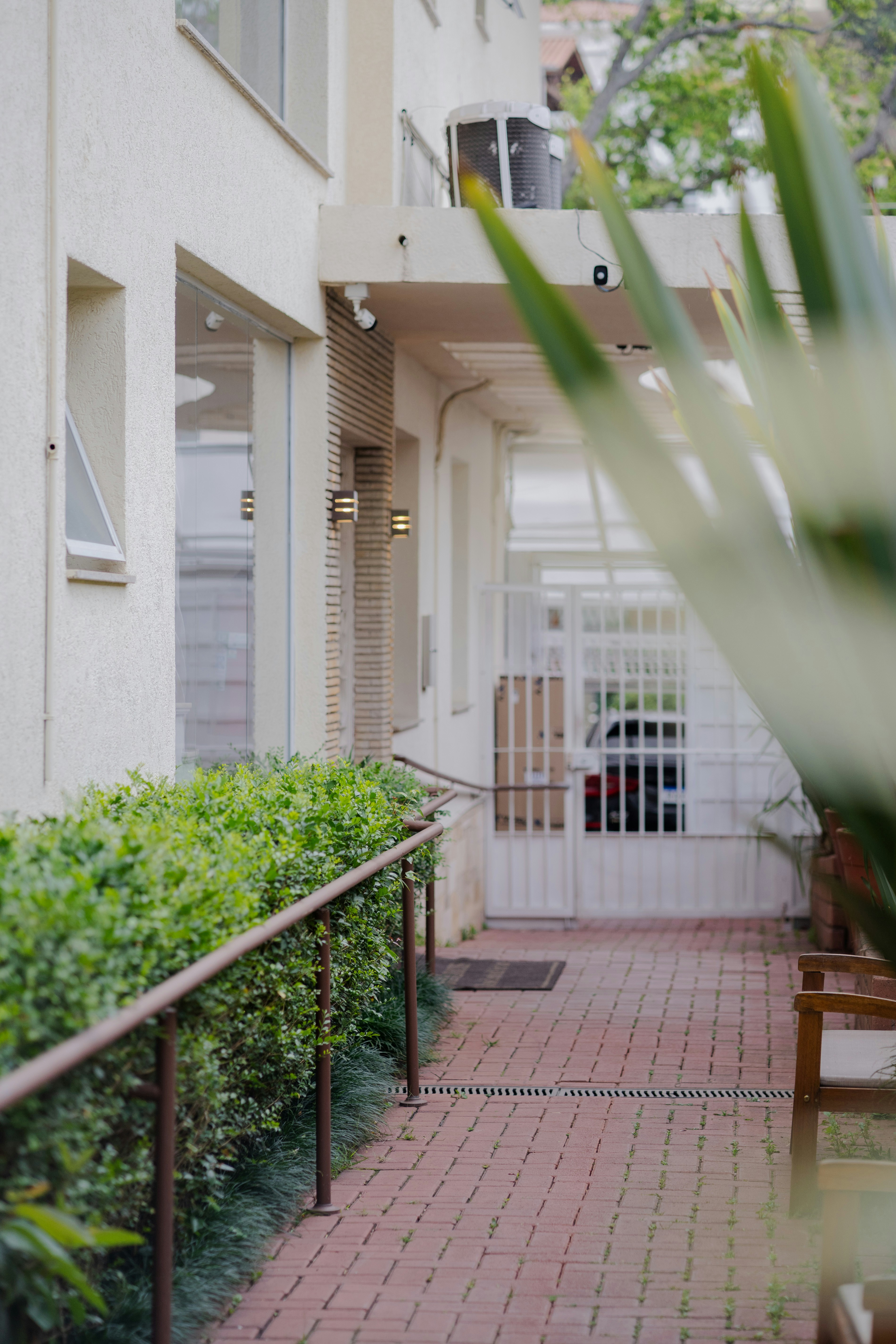 Midday Quiet: A Corridor of Green and White