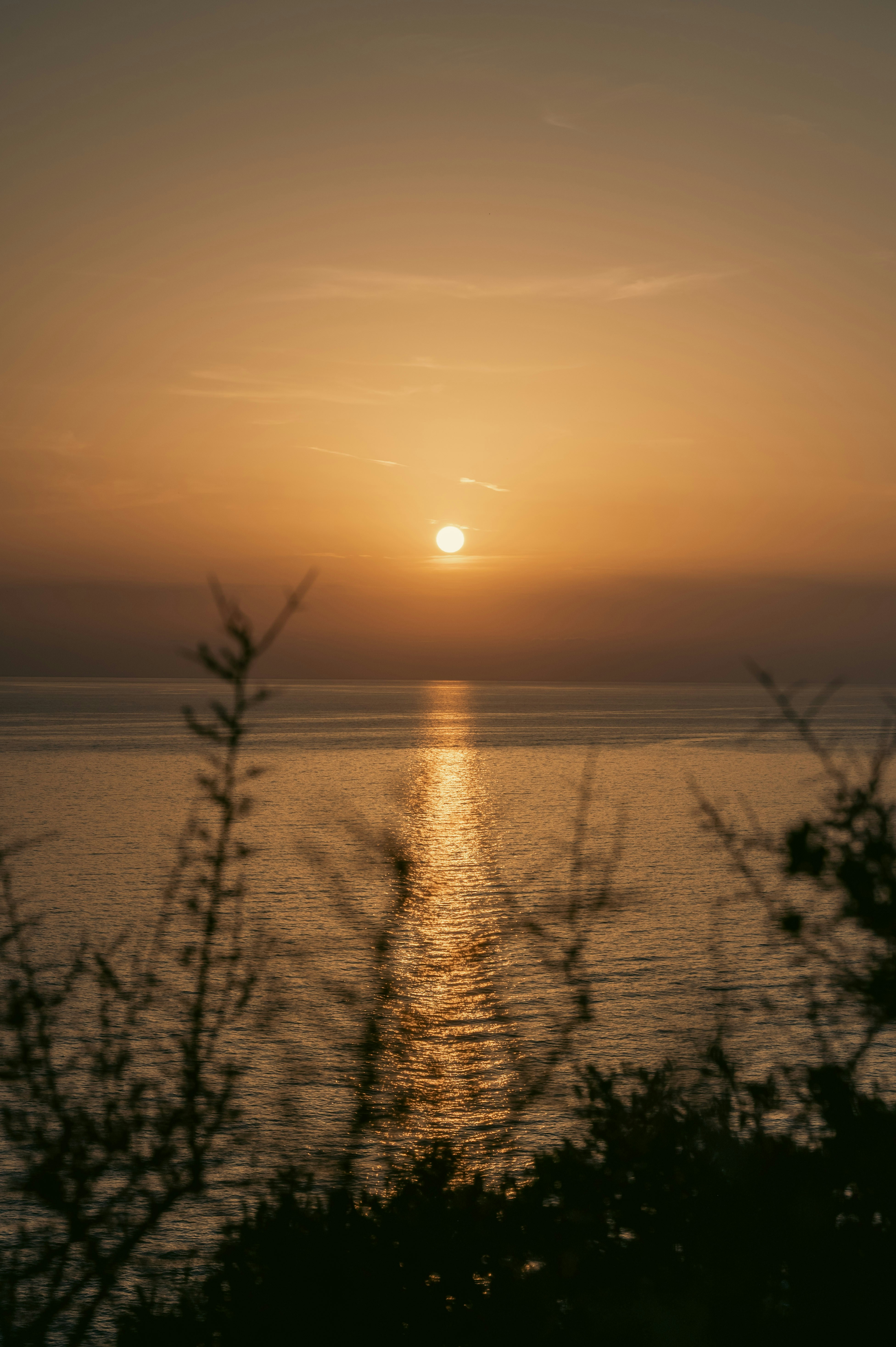 Sunlit Horizon: A Quiet Coastal Sunset