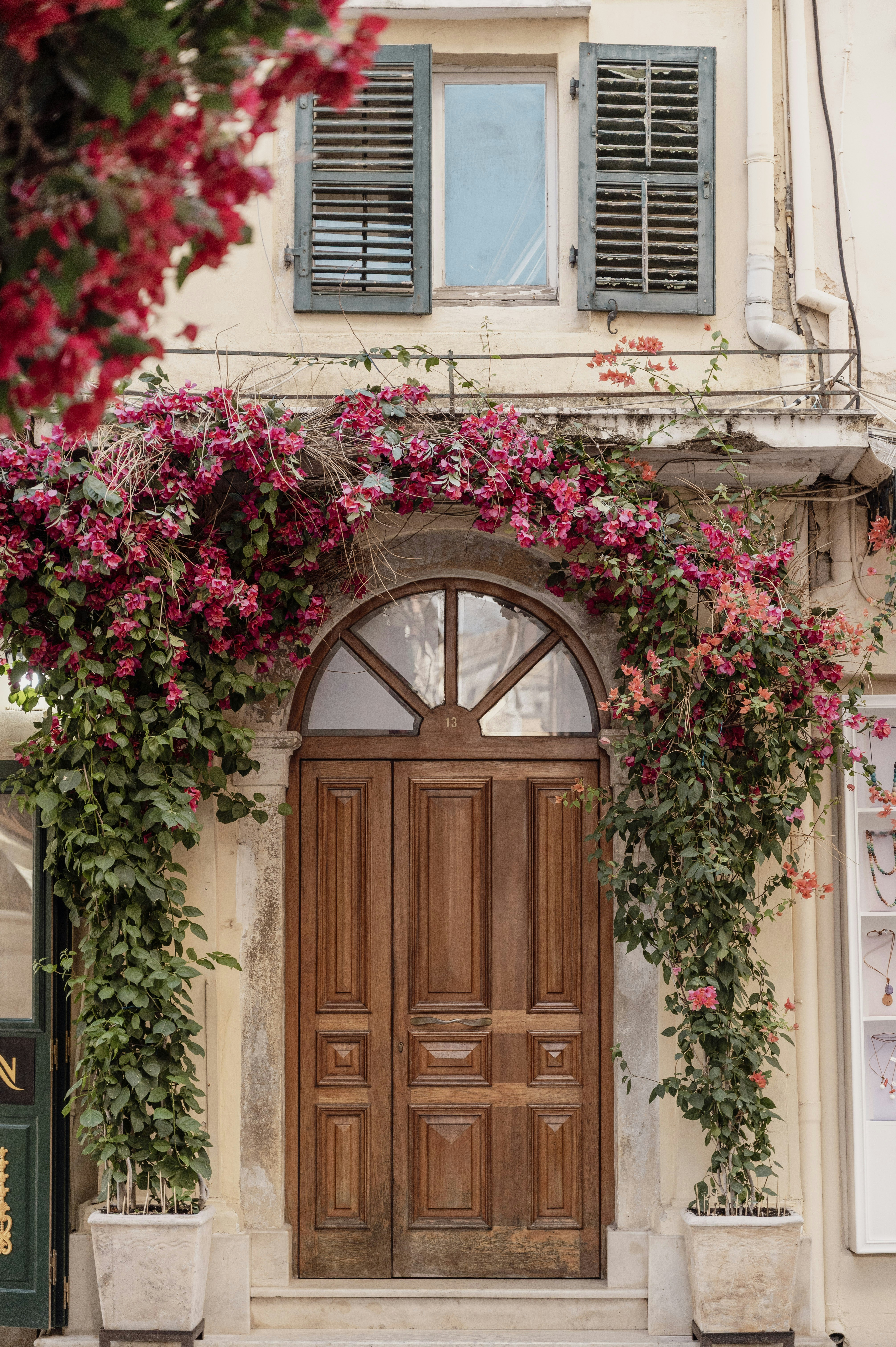 Bougainvillea Frame: An Aged Wooden Door Embellished by Crimson Vines