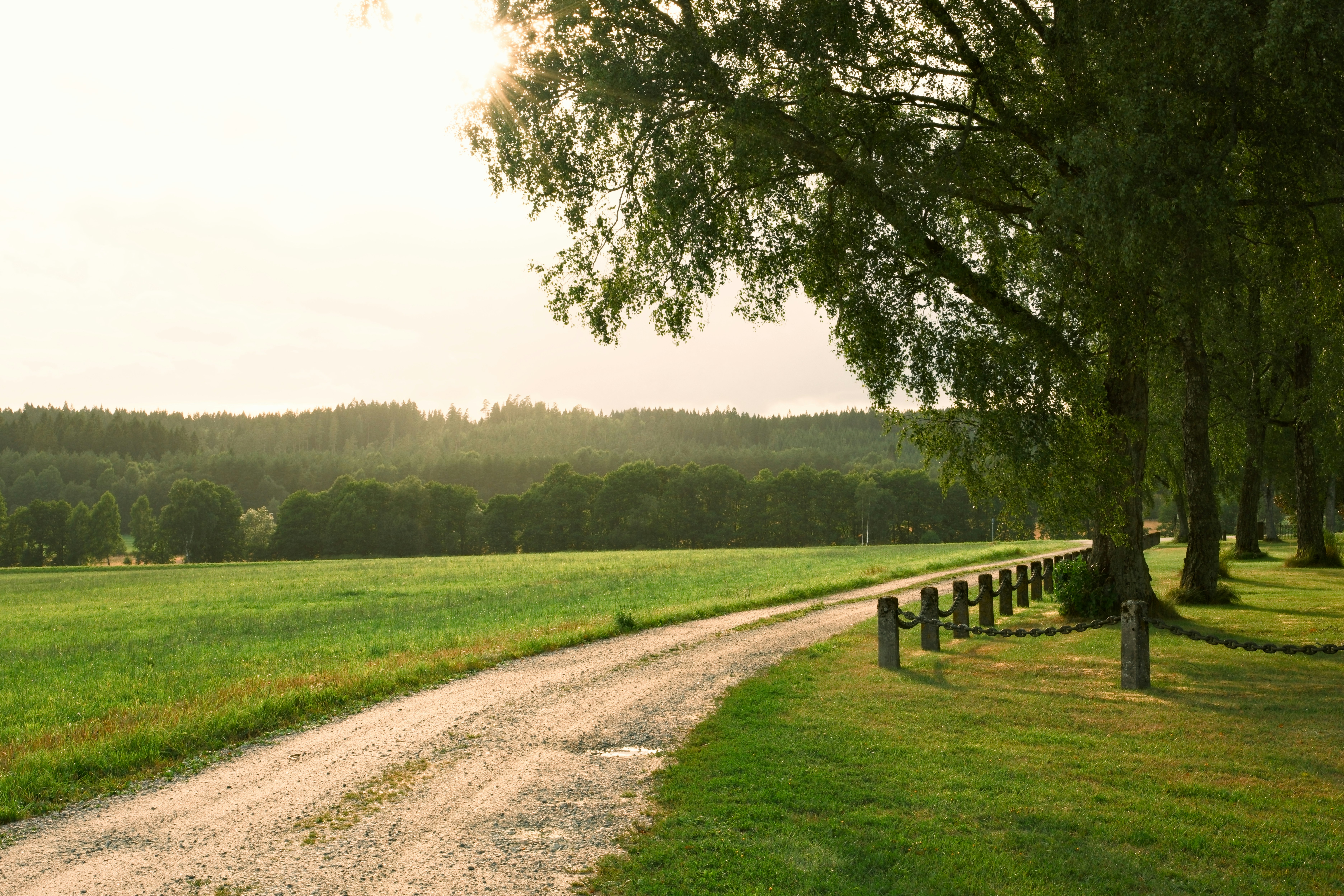 Dusty Path to the Orchard: A Quiet Riverside Walk