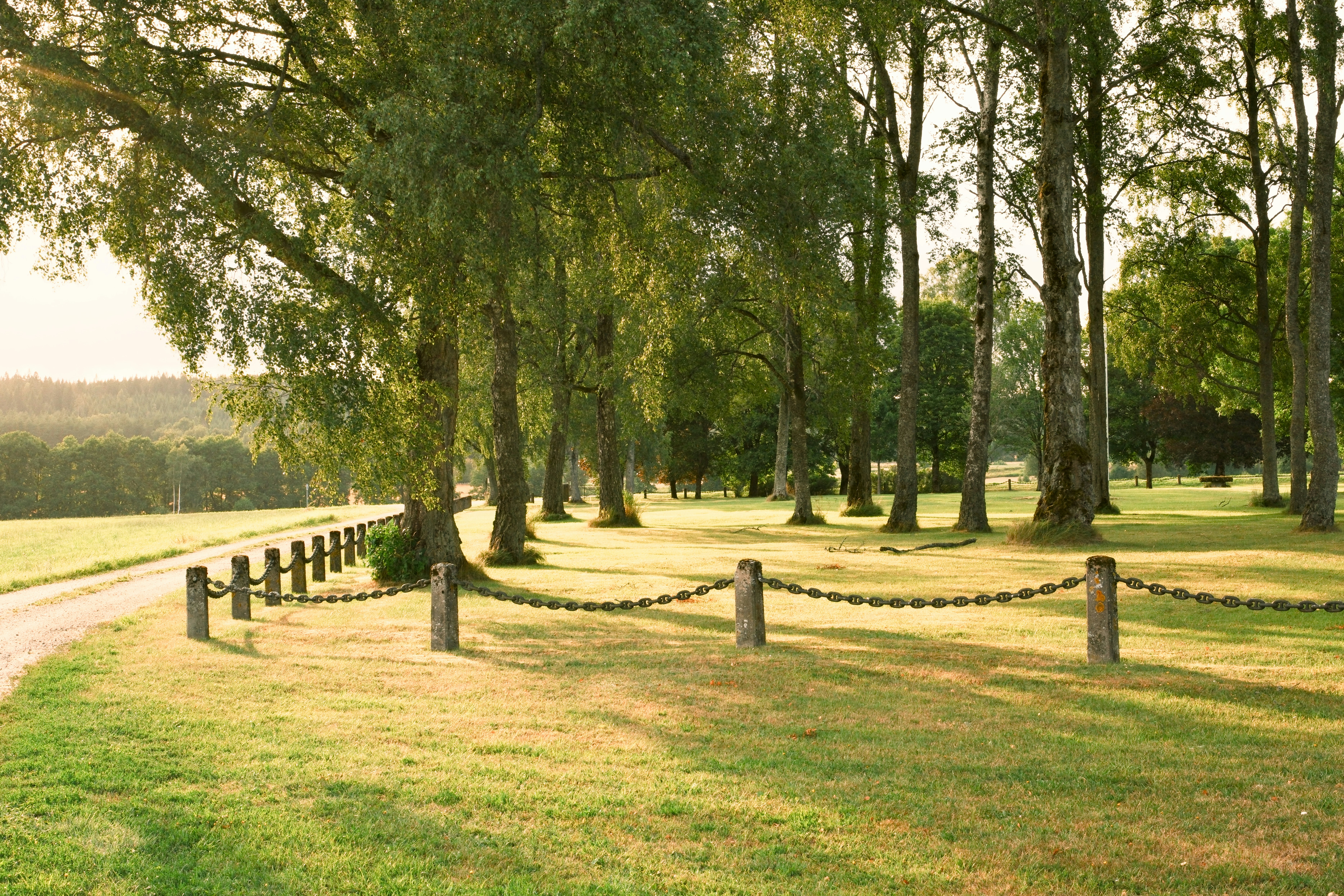 Chain of Trees and Posts in a Quiet Park Path