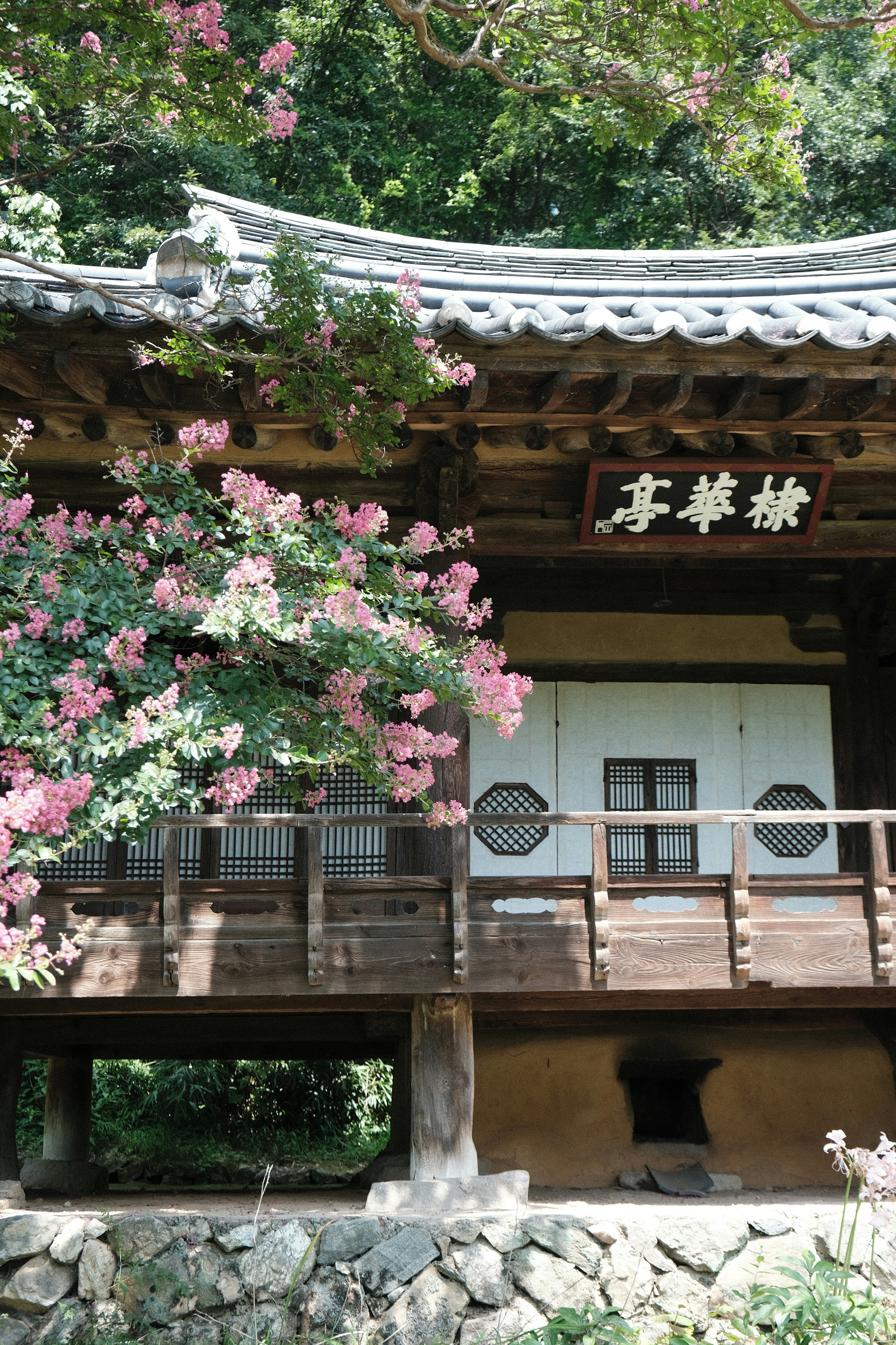 Blossoms on the Veranda of a Tranquil Japanese Temple