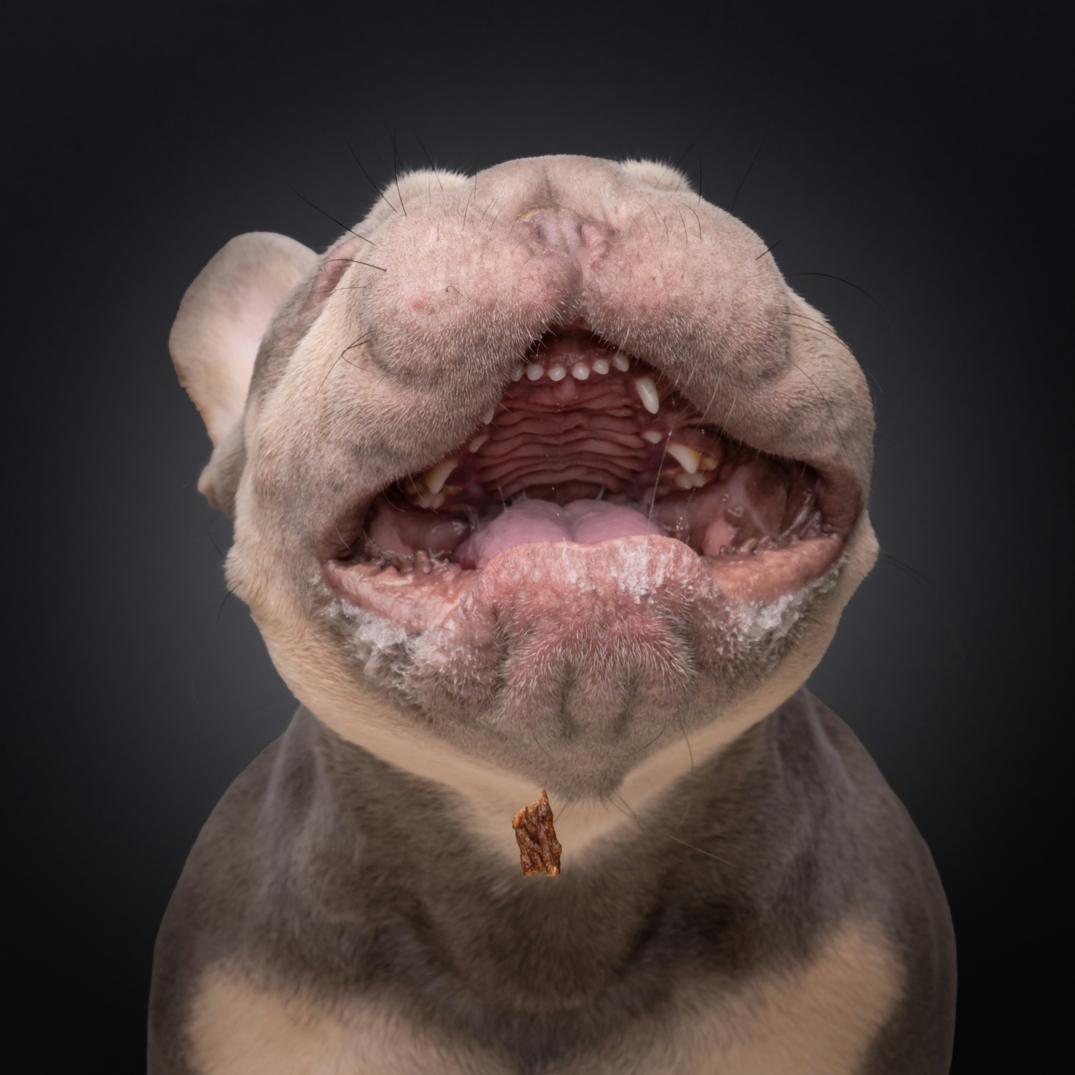 Toothy Grin Under Spotlight
