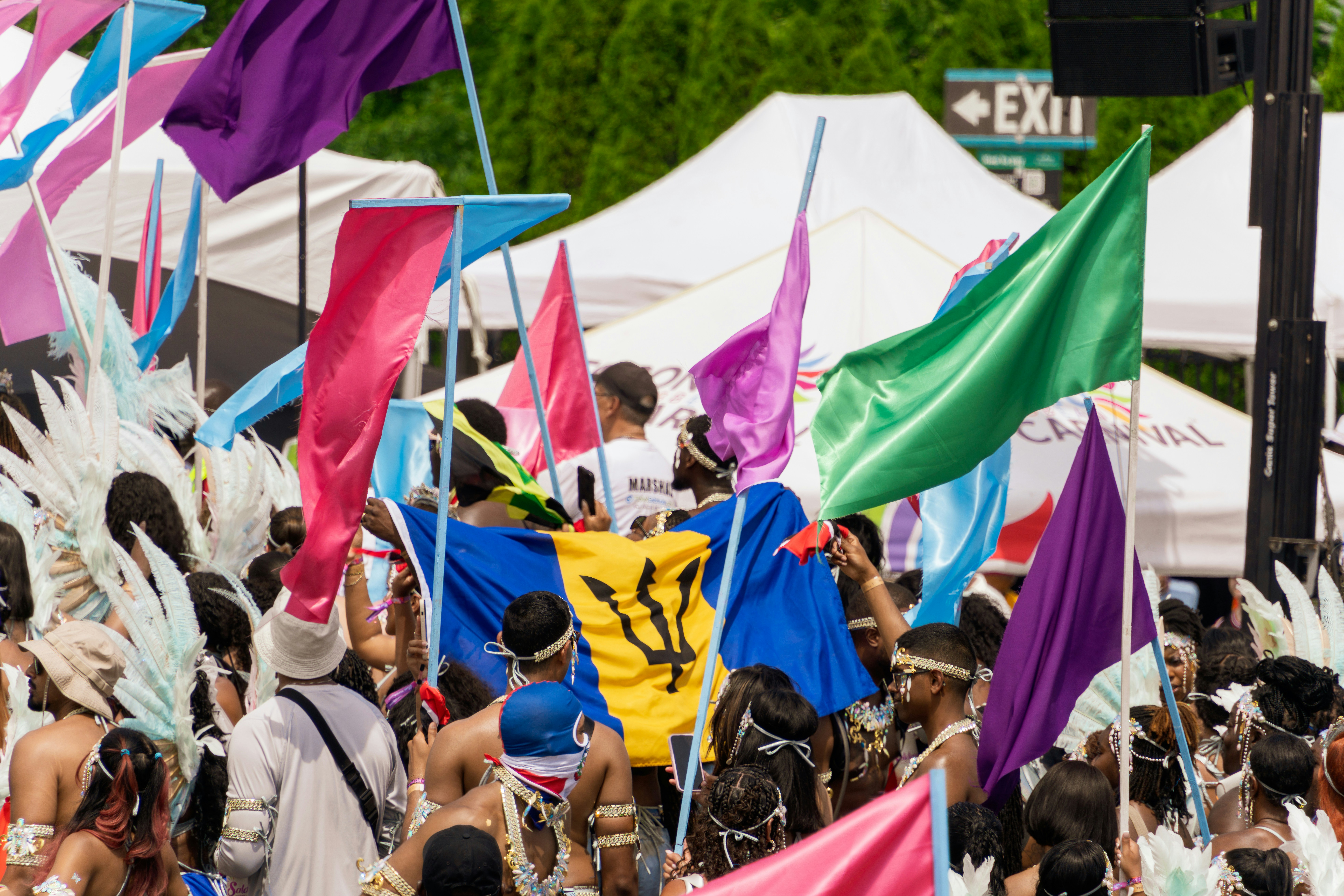 Colorful Parade Pulse: Flags, Costumes, and Crowd Energy in a Festival Square