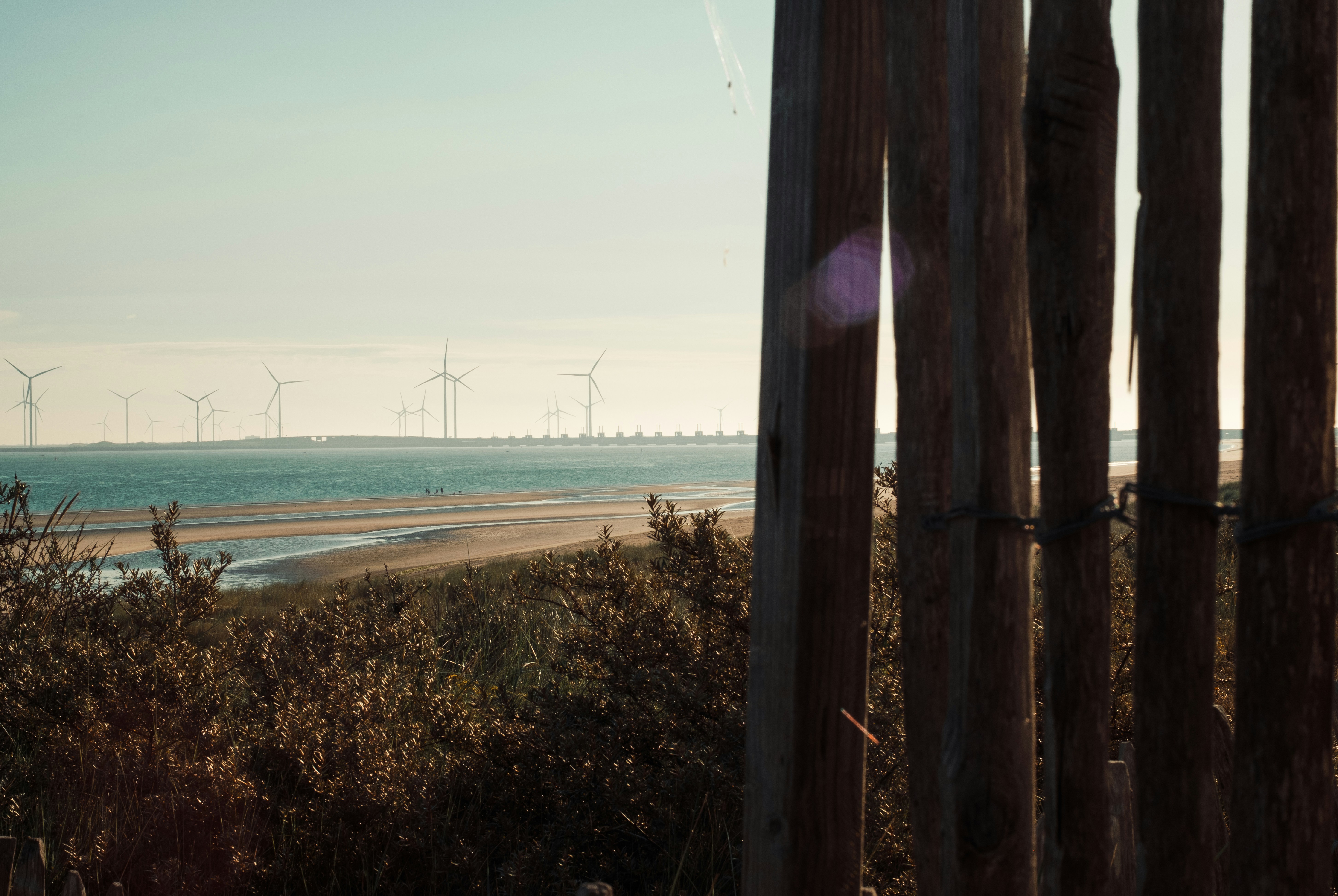 A framed coastal vista looking past rustic wooden dune fencing toward a vast sandy shore in Zeeland. Tiny figures walking along the water's edge emphasize the immense scale of the landscape, set against the distant silhouette of the Oosterscheldekering barrier and a sprawling wind farm on the horizon.