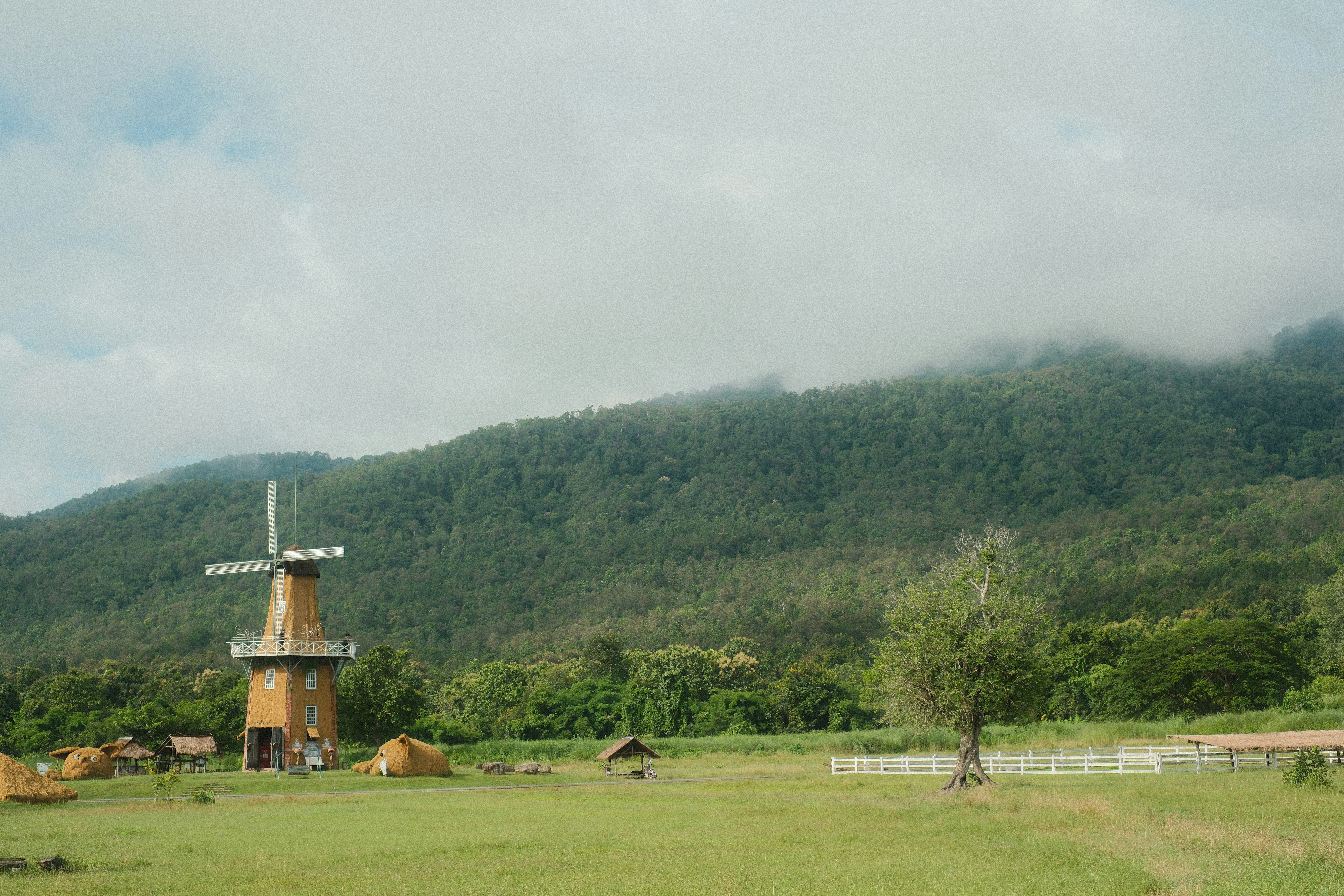 Windmill by the Green Vale