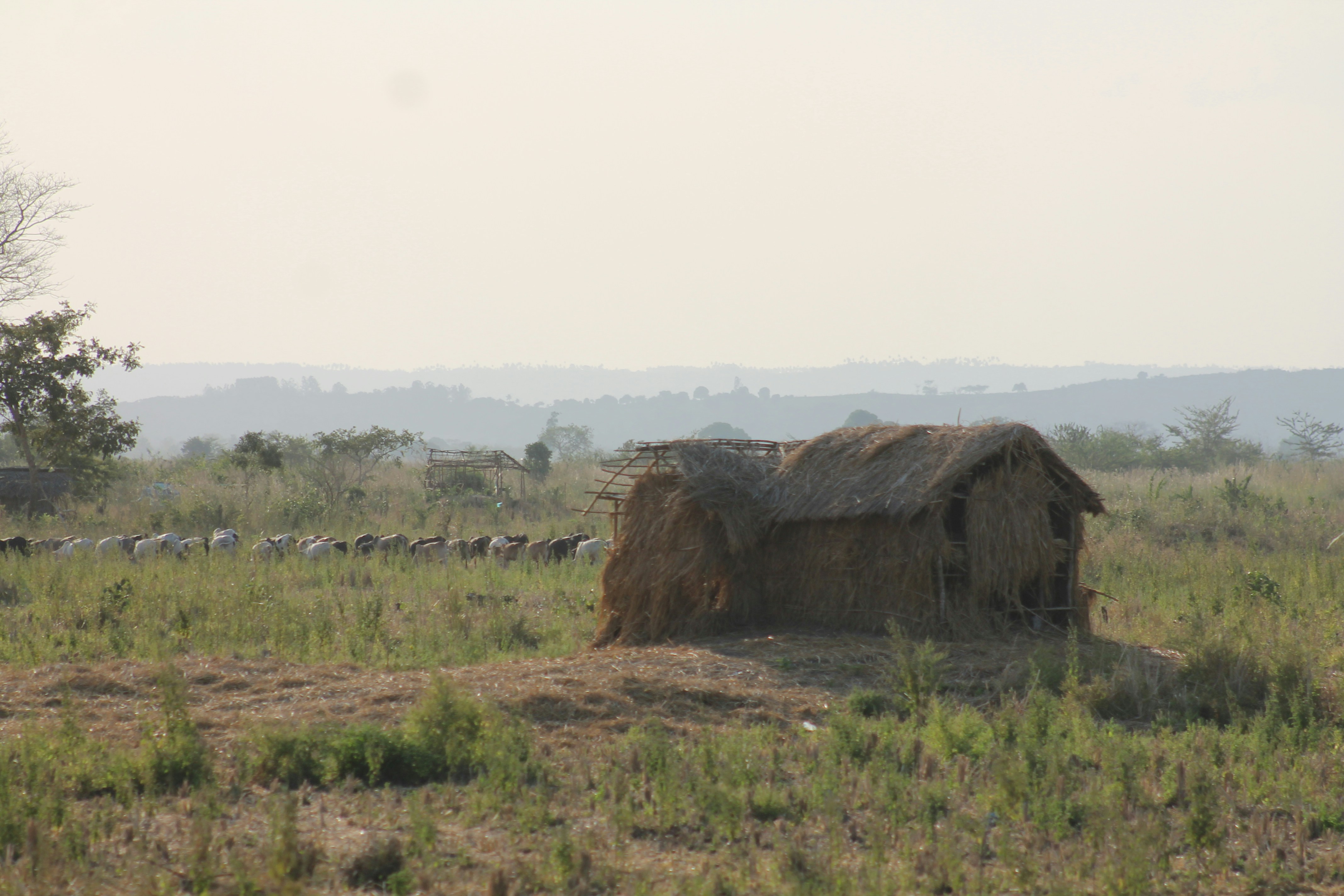 Hut on the Prairie: A Quiet Homestead at Dusk