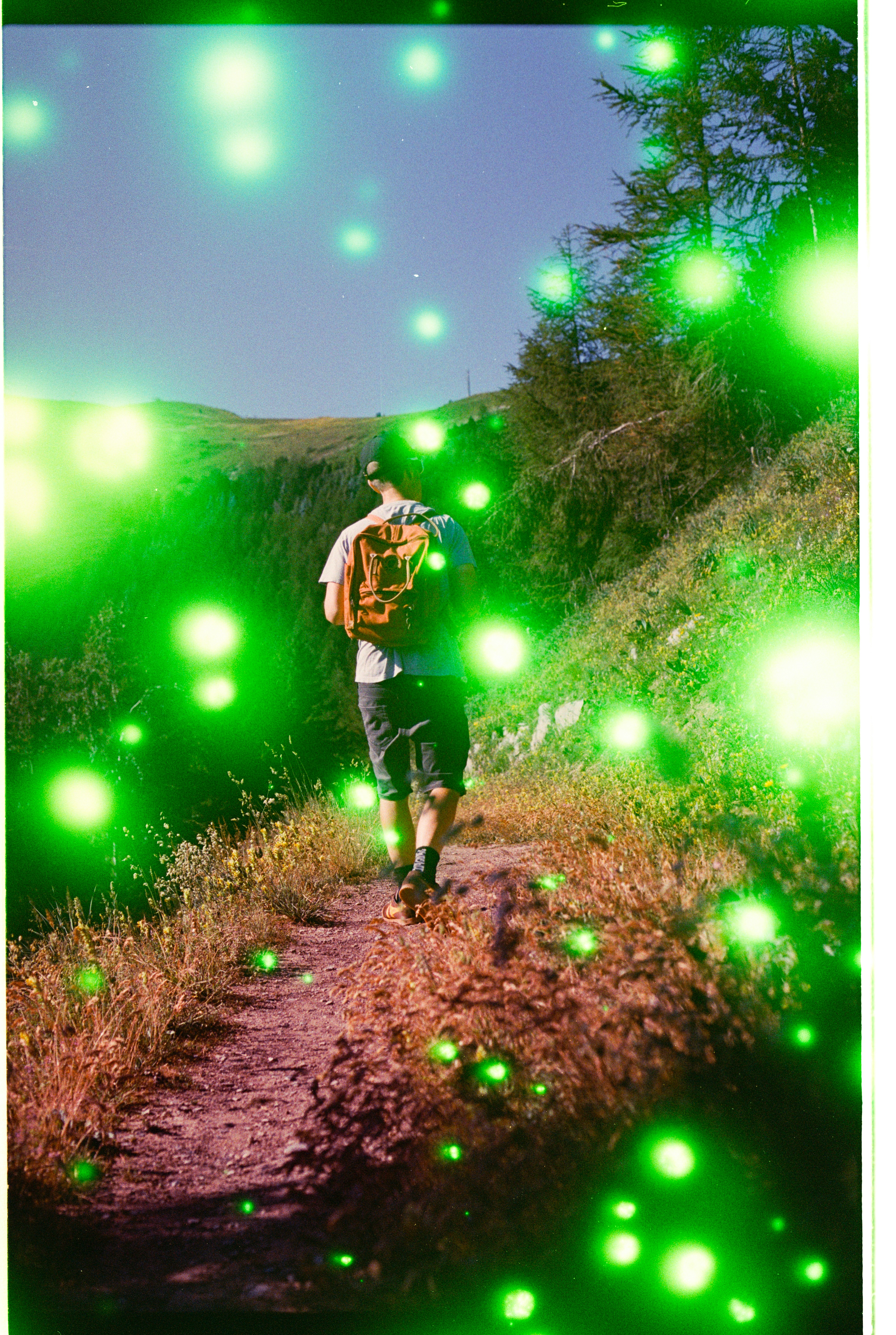 Trail Wanderer under a Green Aurora of Orbs