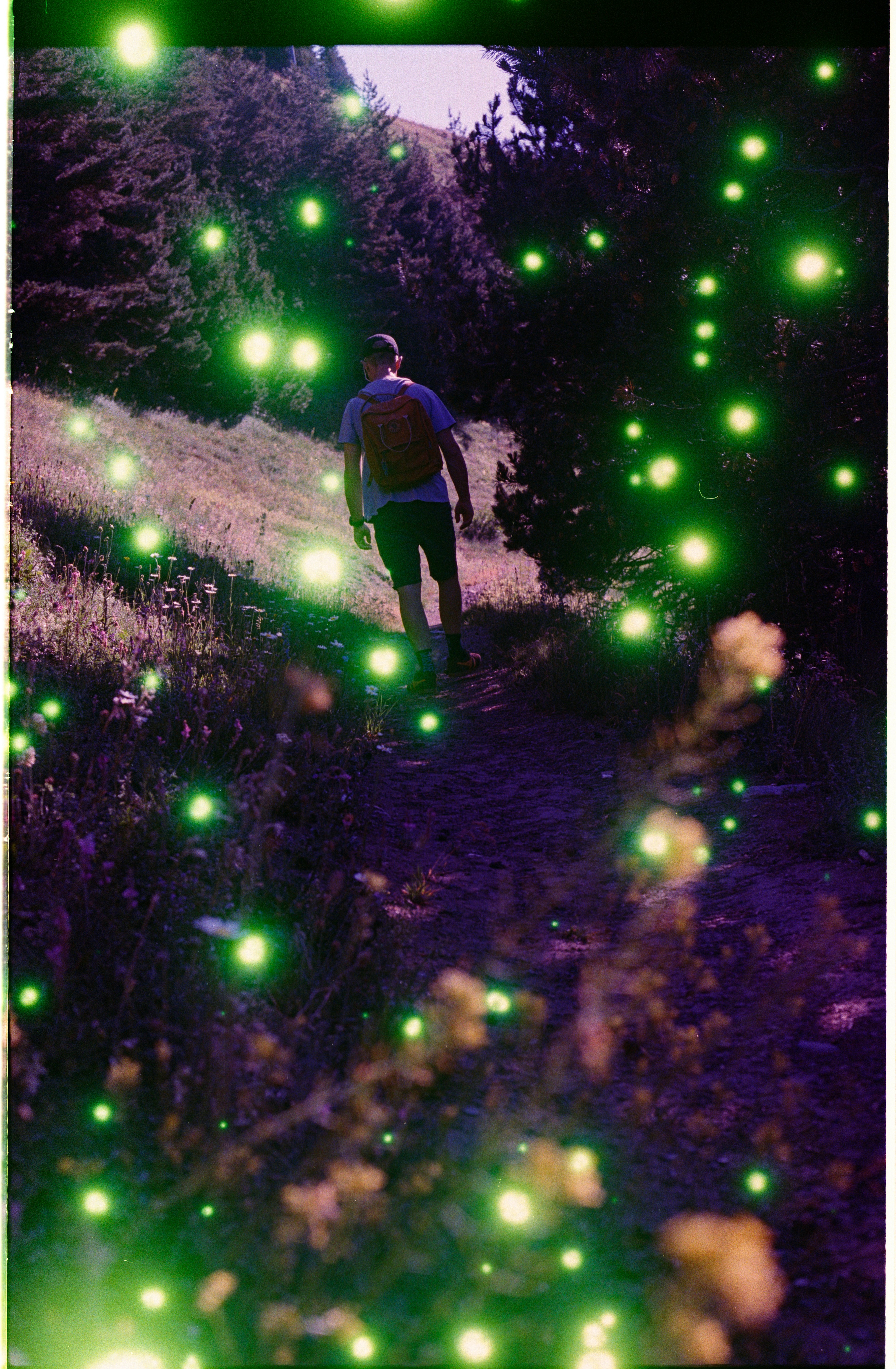 Trailbound: A lone hiker steps into a shimmer of green dusk