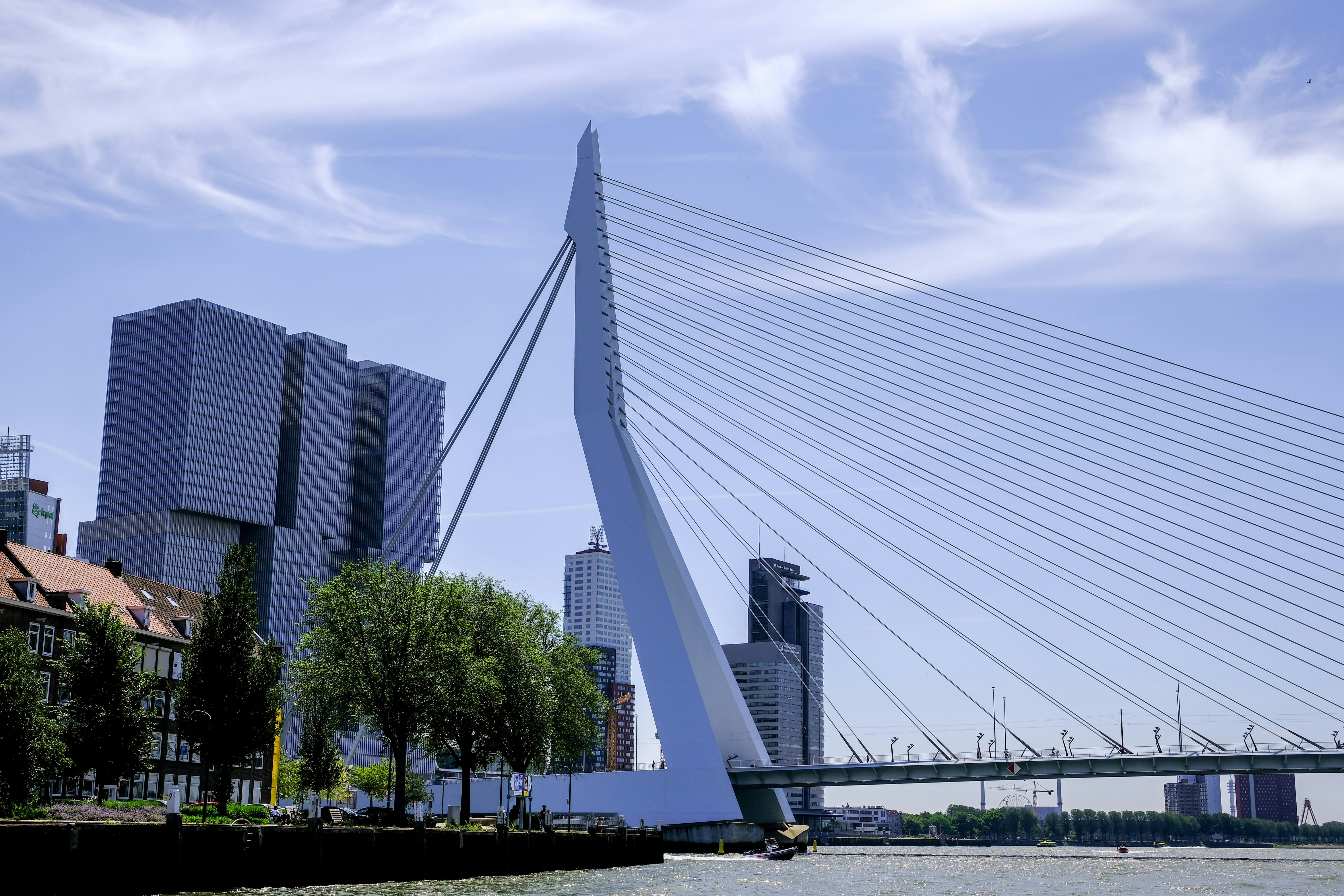Aerial Cable-Stayed Arc: The Rotterdam-like Bridge over the River