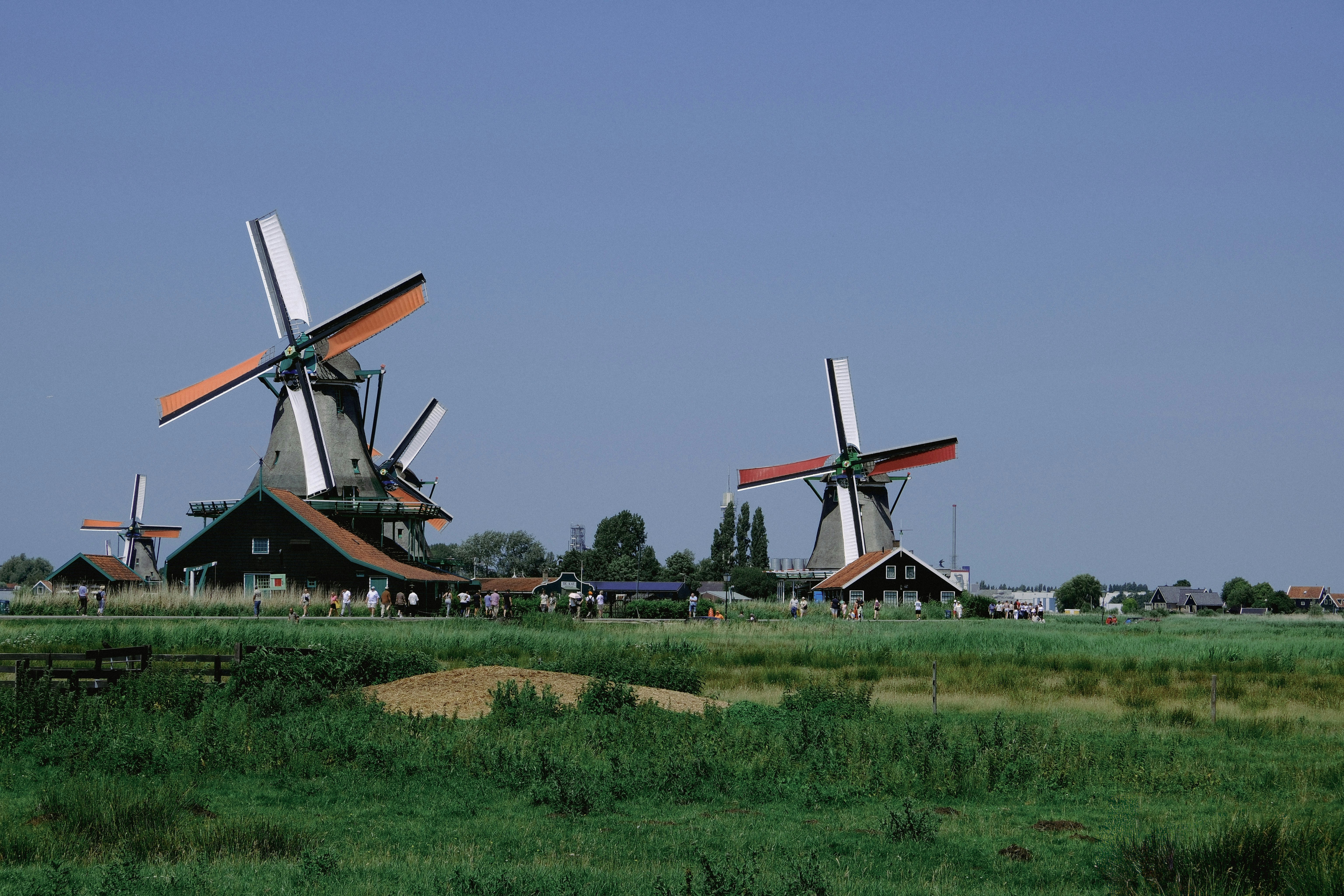 Windmills on the Horizon: Dutch-Style Spinning Sentinels