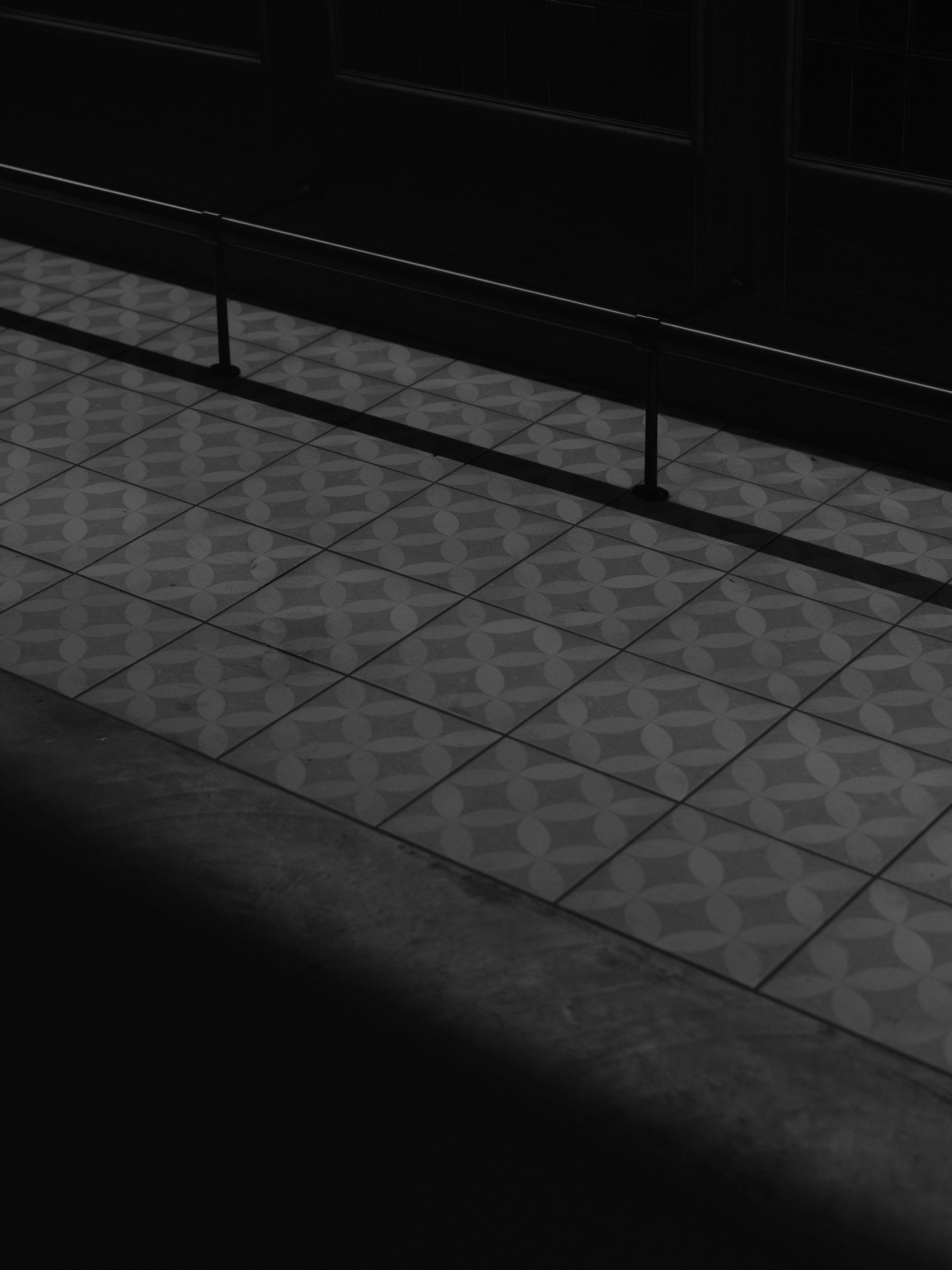 Monochrome street tiles with a low-angle railing line in the background; the scene emphasizes texture and pattern in subdued lighting.