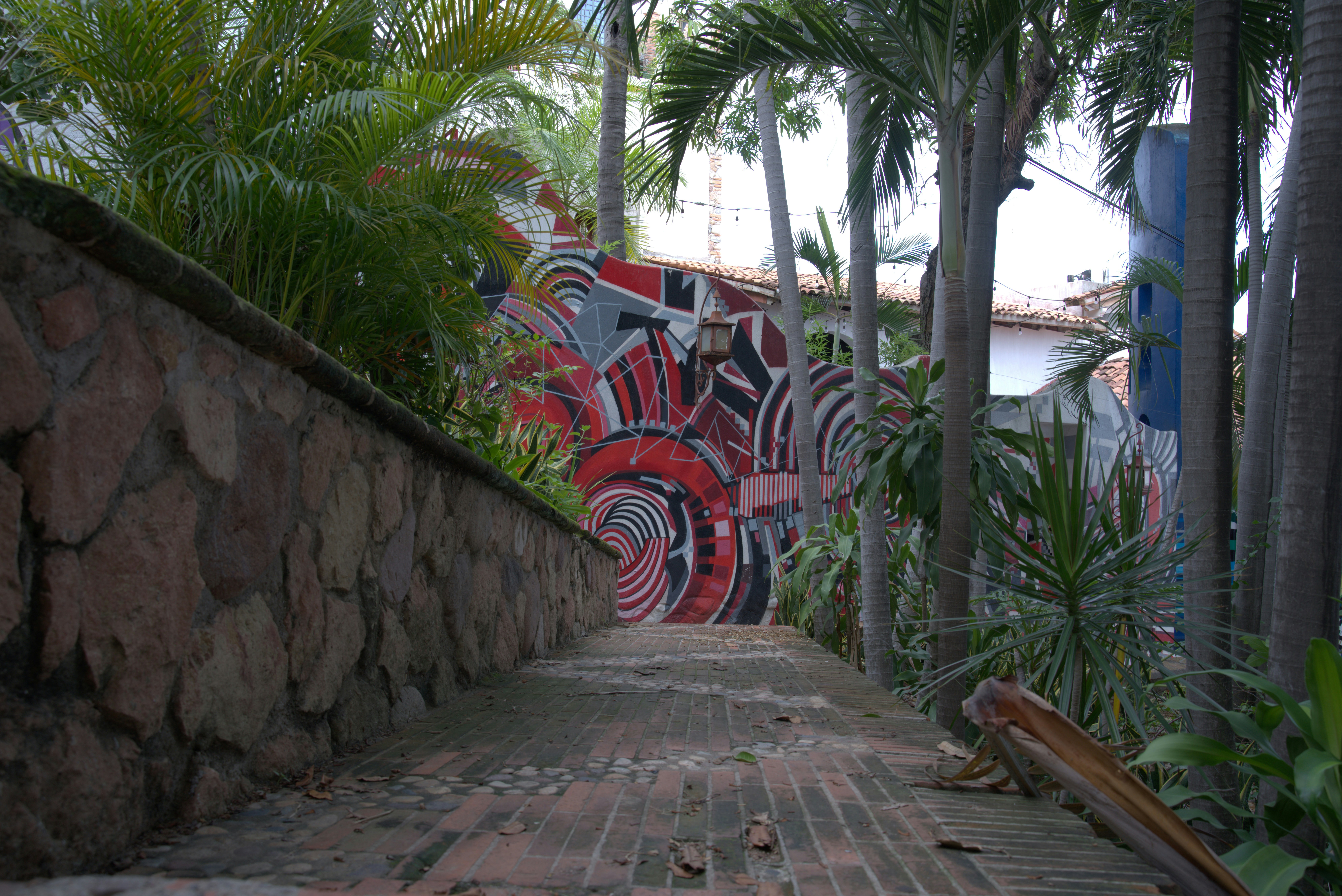 Path through a Tropical Corridor Revealing a Muralscape