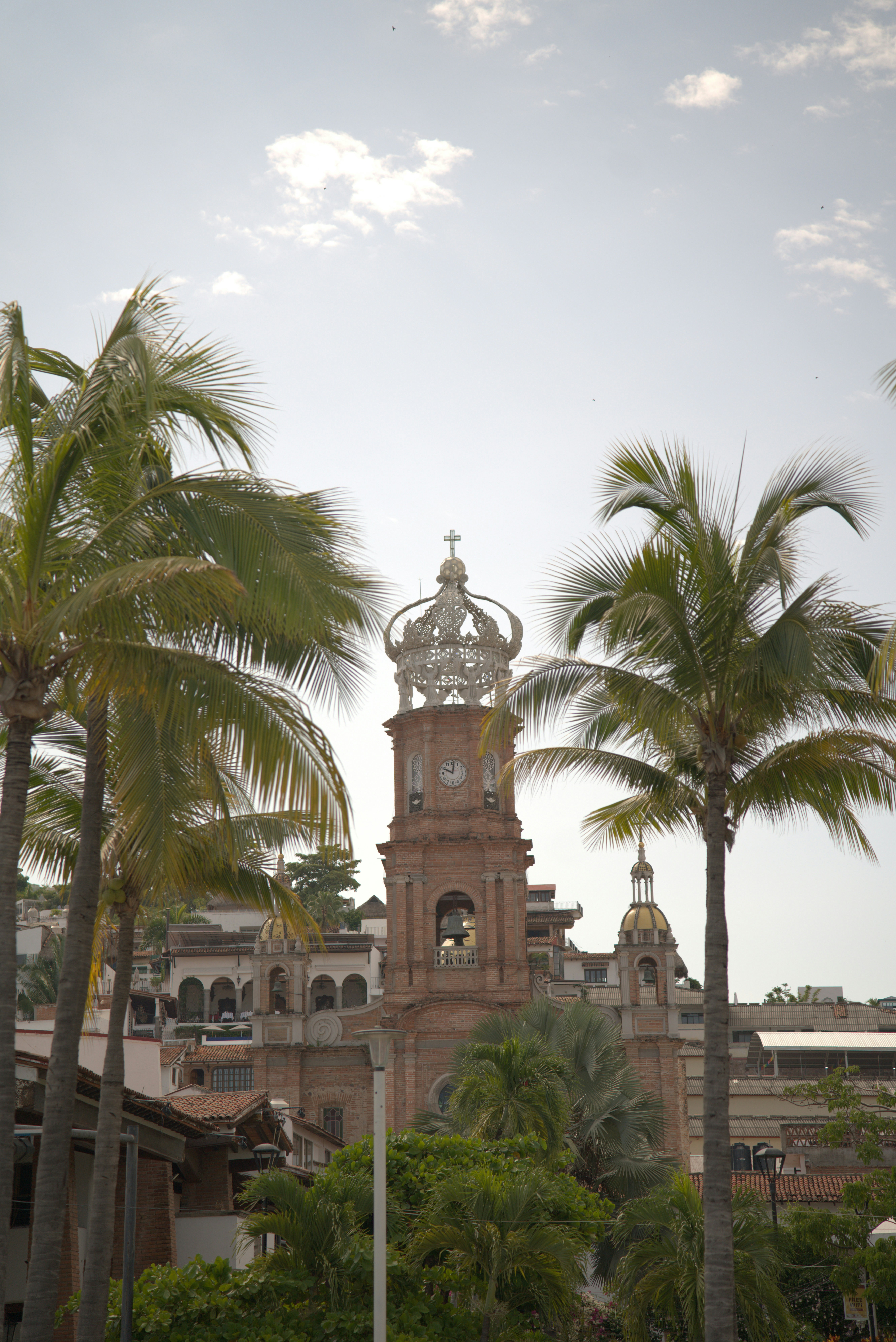 Bell Tower in Palm-Shaded Plaza