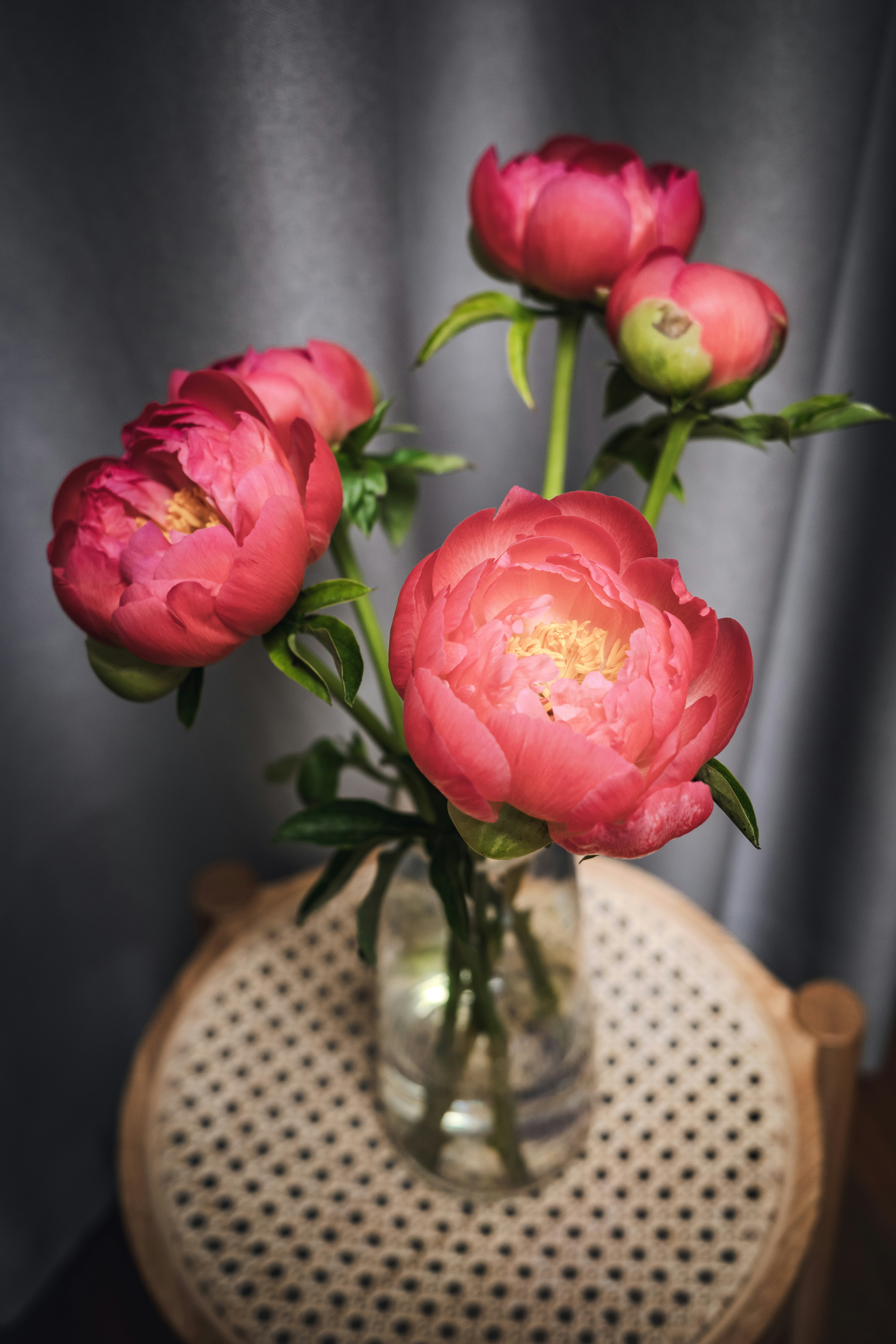 Pink Peonies in Soft Focus Glow