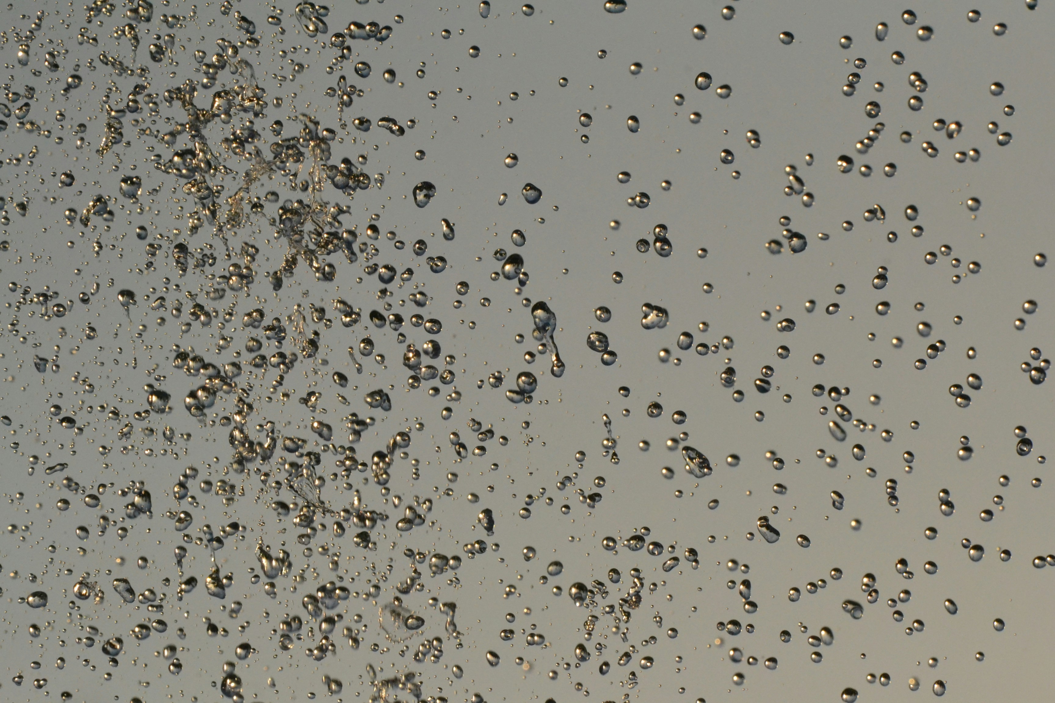 Droplet Field on a Quiet Canvas