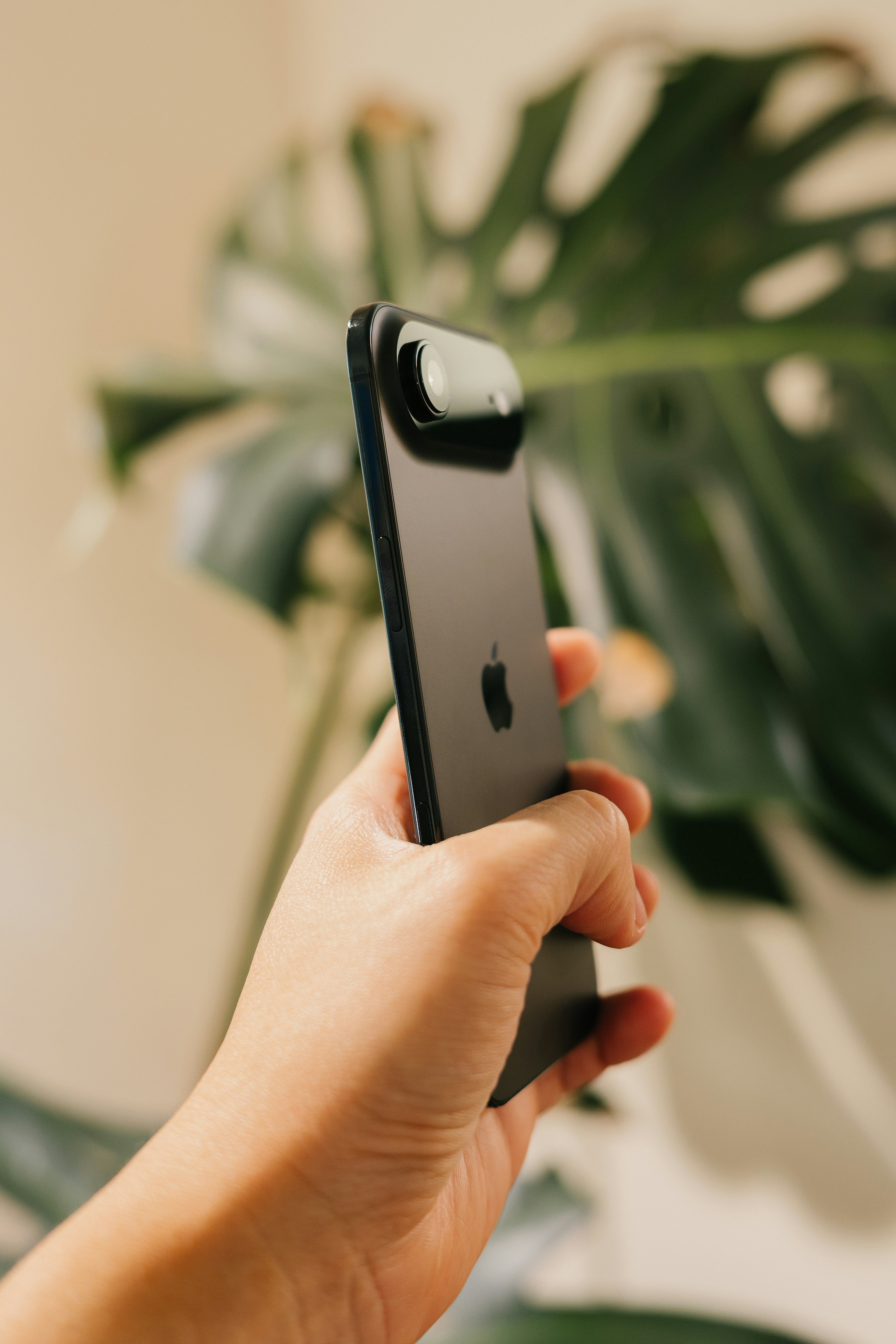 Holding a Moment: A Handful of Tech and Glass