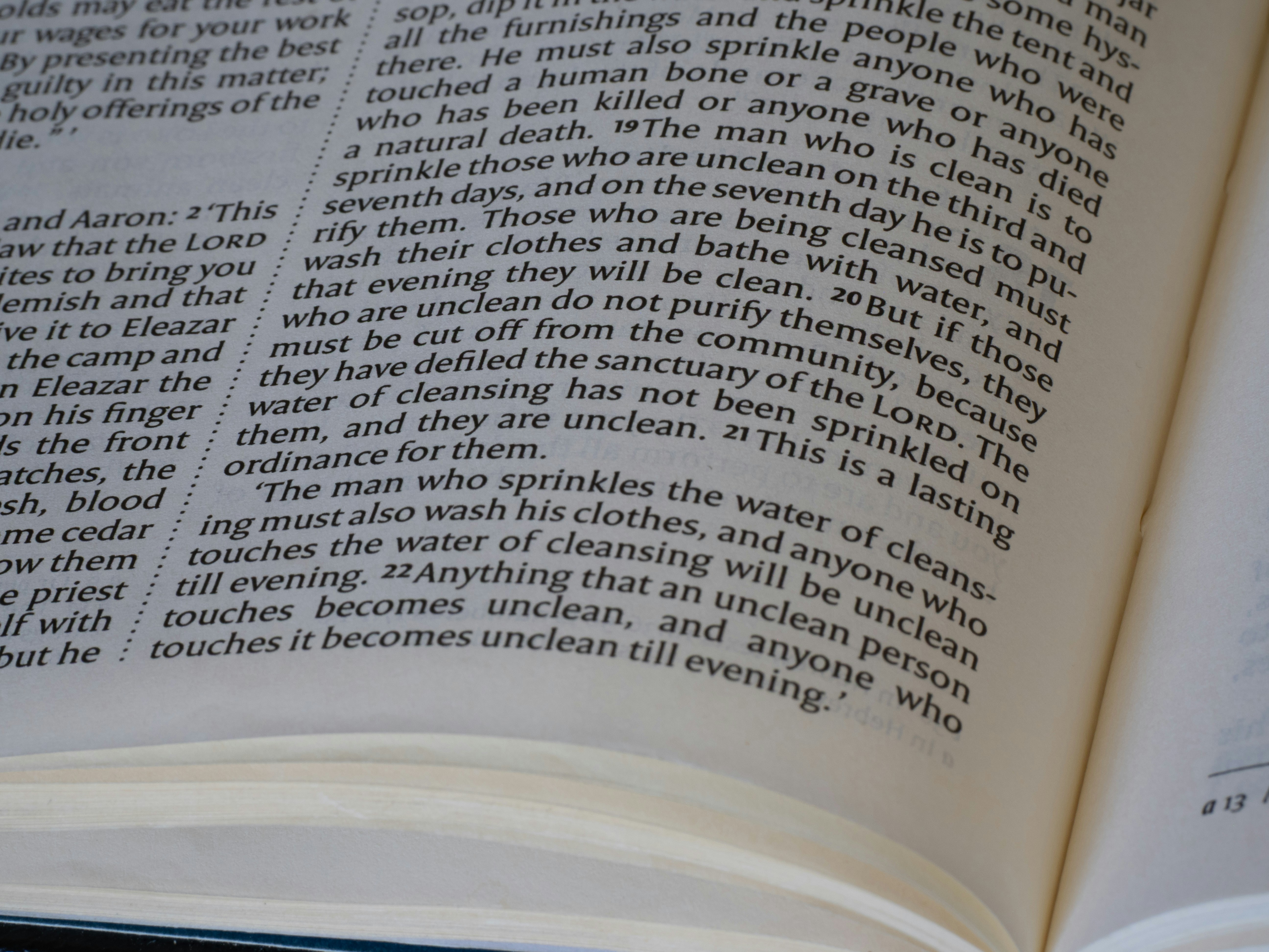 Tangled Lines: A Close Reading of a Printed Page