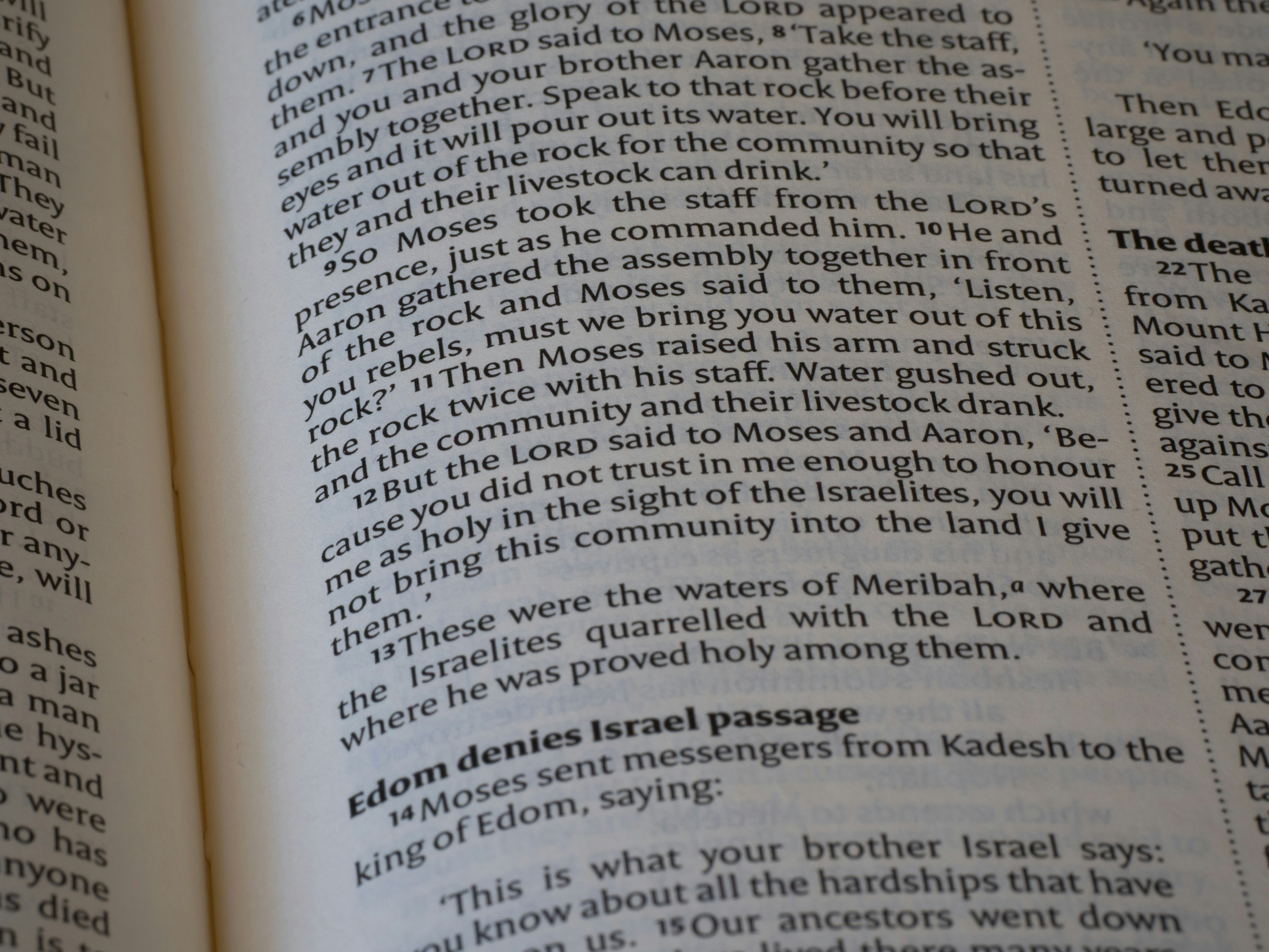 Close-Quarters Gospel: a Print of Scripture in Focus