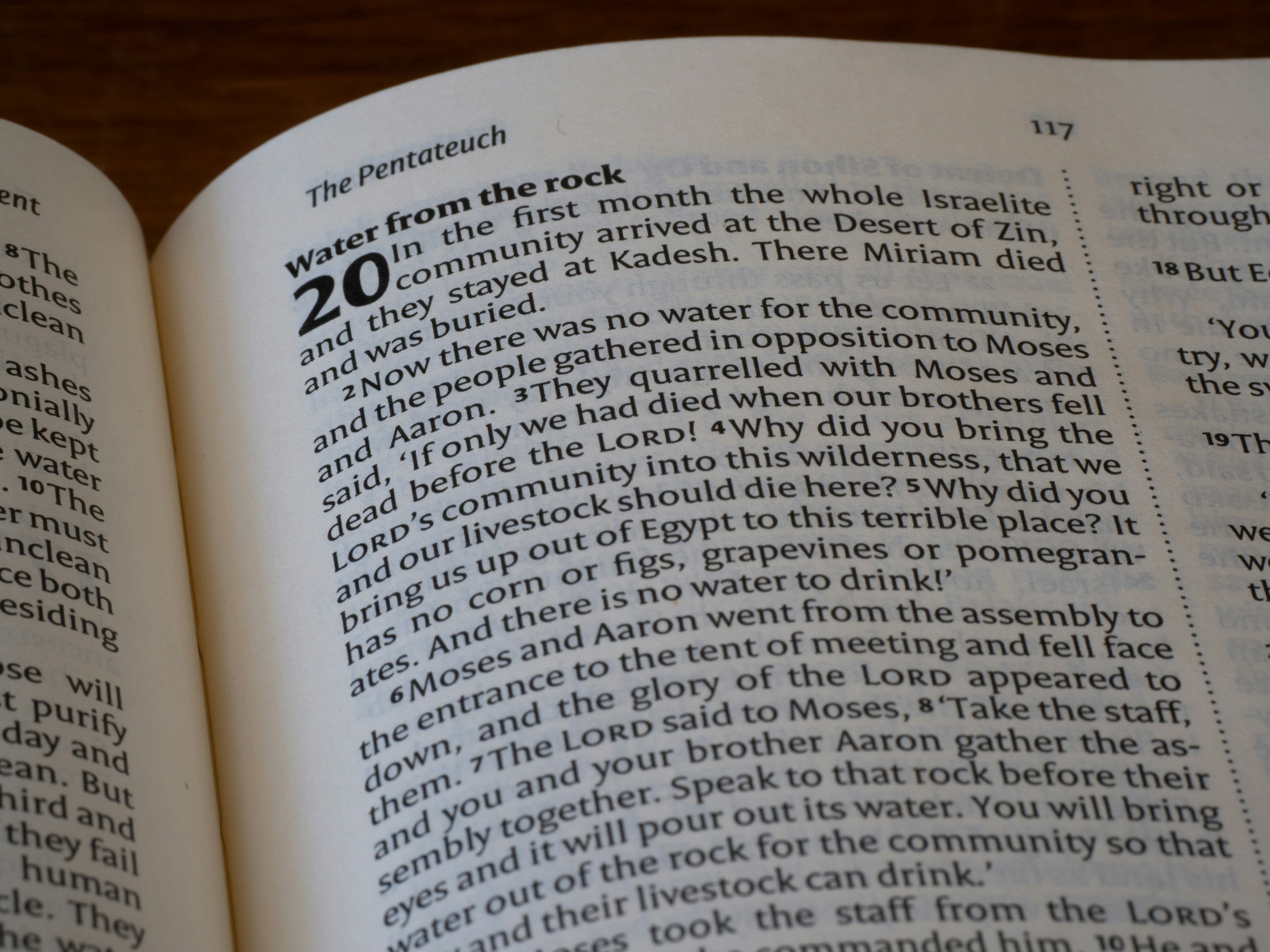 The Hidden Fold: A Close-up from a Vintage Text