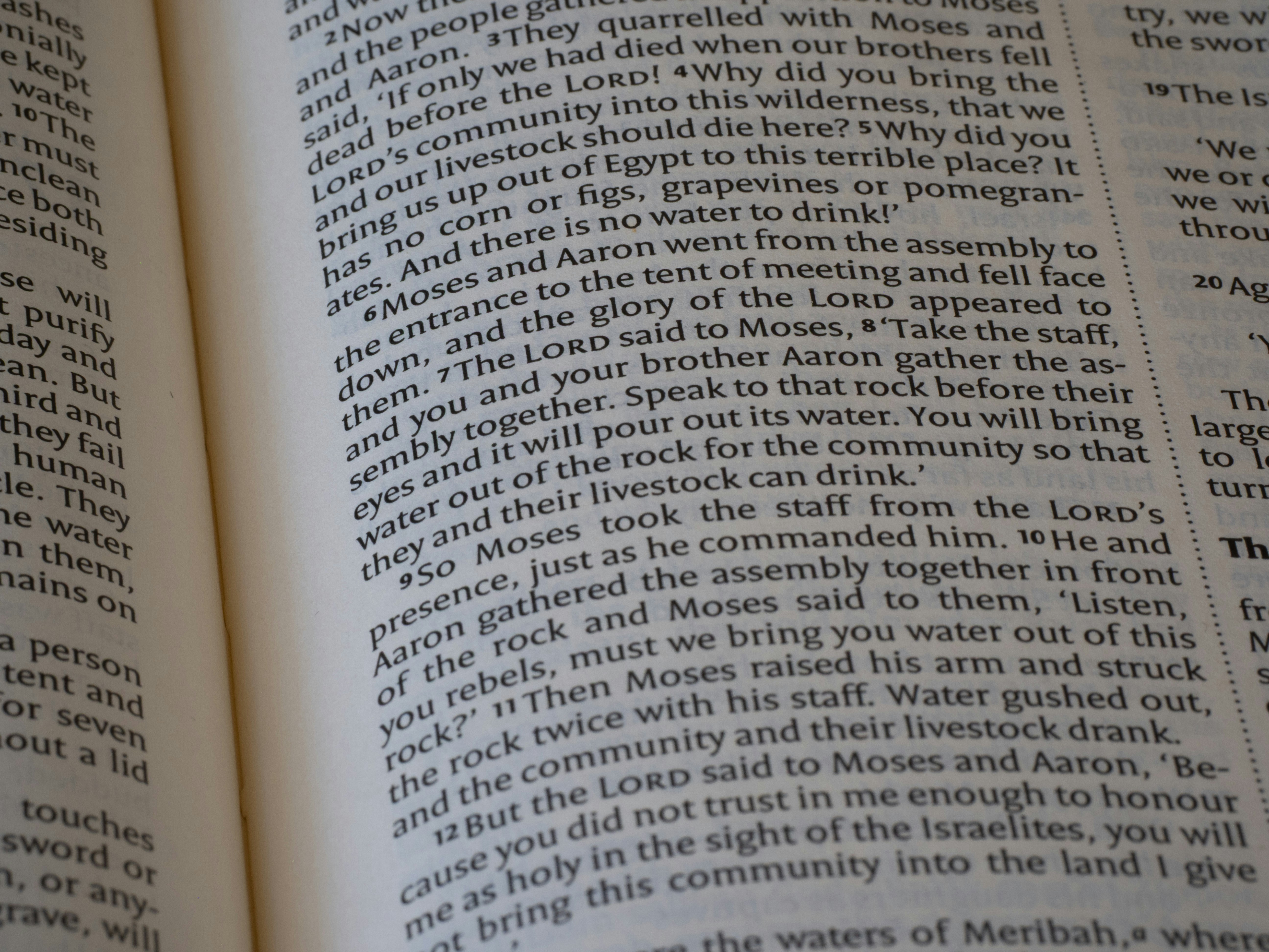 Close-Read: A Bible Page Framed in Soft Light