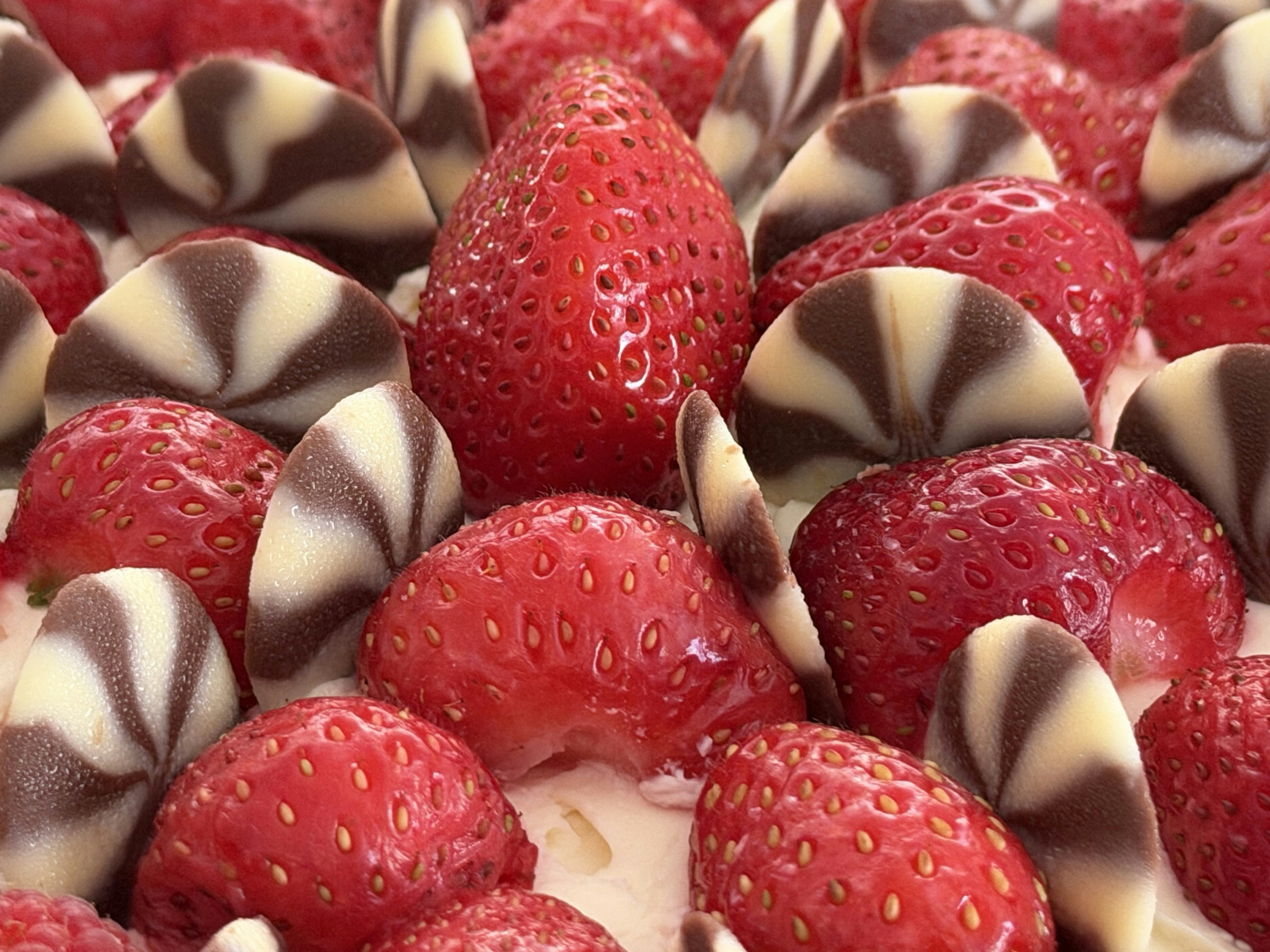 Strawberries Meet Chocolate Spirals: A Velvet Rainbow of Sweet Red and Dark Swirl