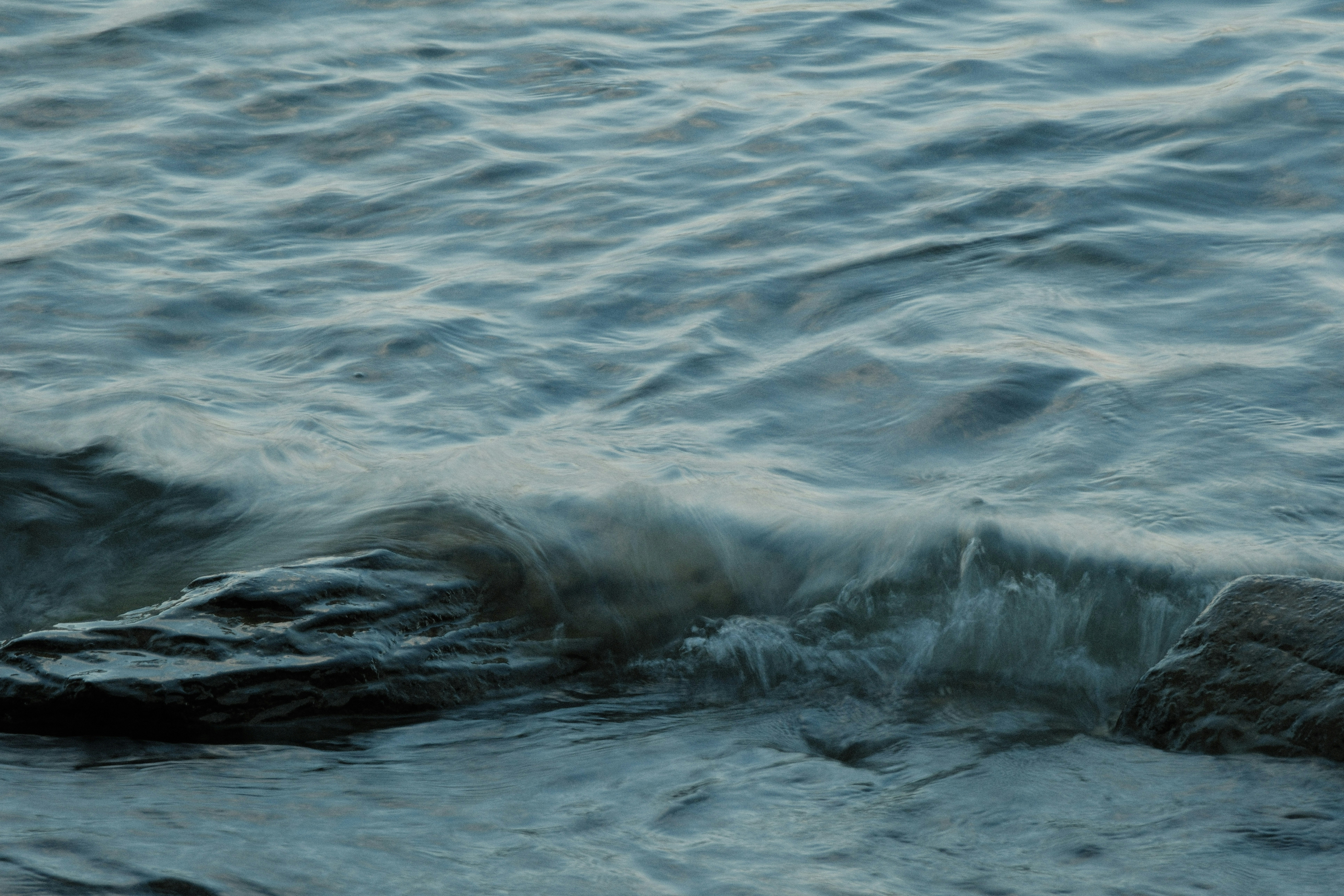 Low Tide Crest: A Quiet Moment on Wind-Washed Stones