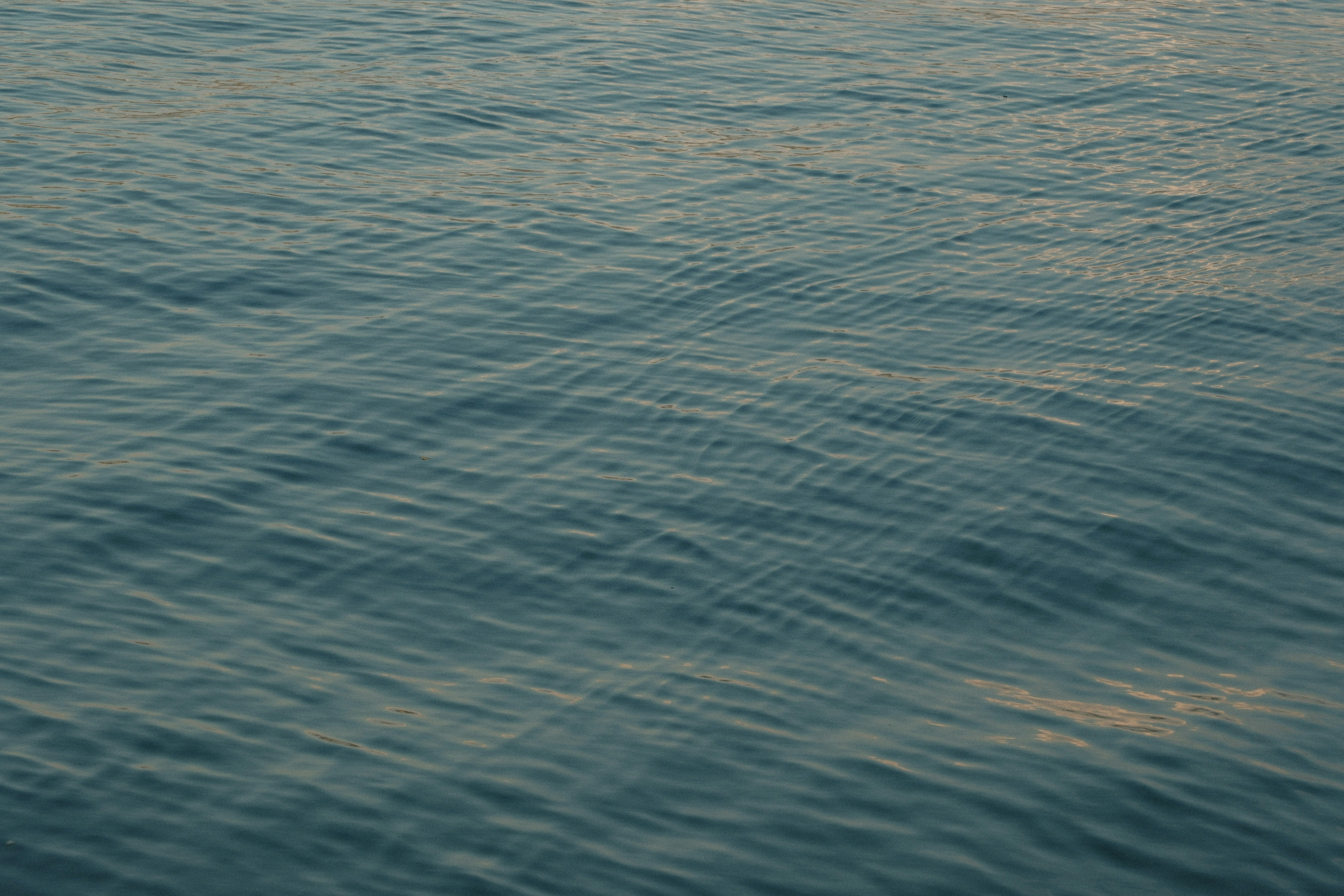 Quiet Horizon on Moving Blue