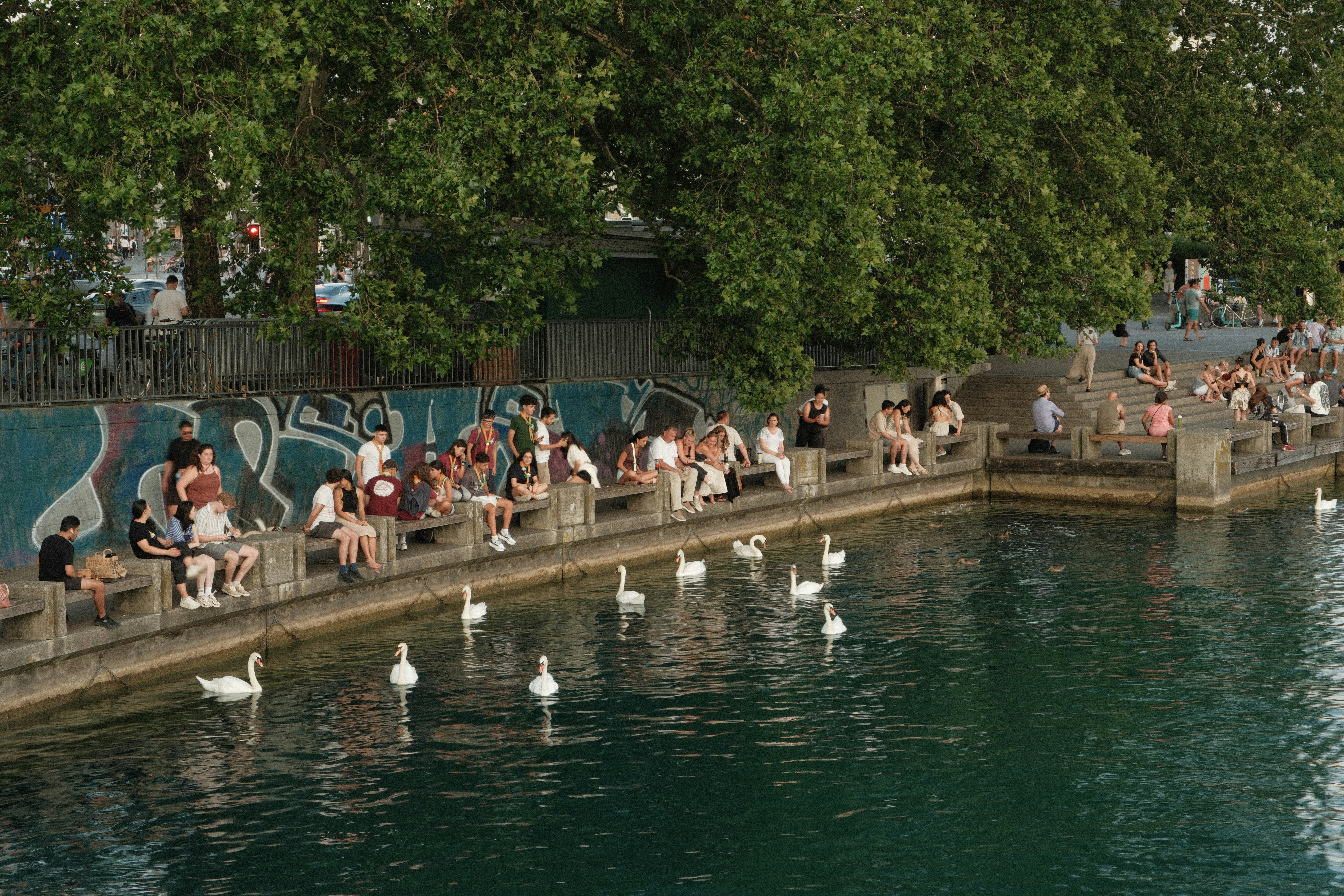 Crowd by the Canal: Seagulls and Friends Along the Riverside Walk