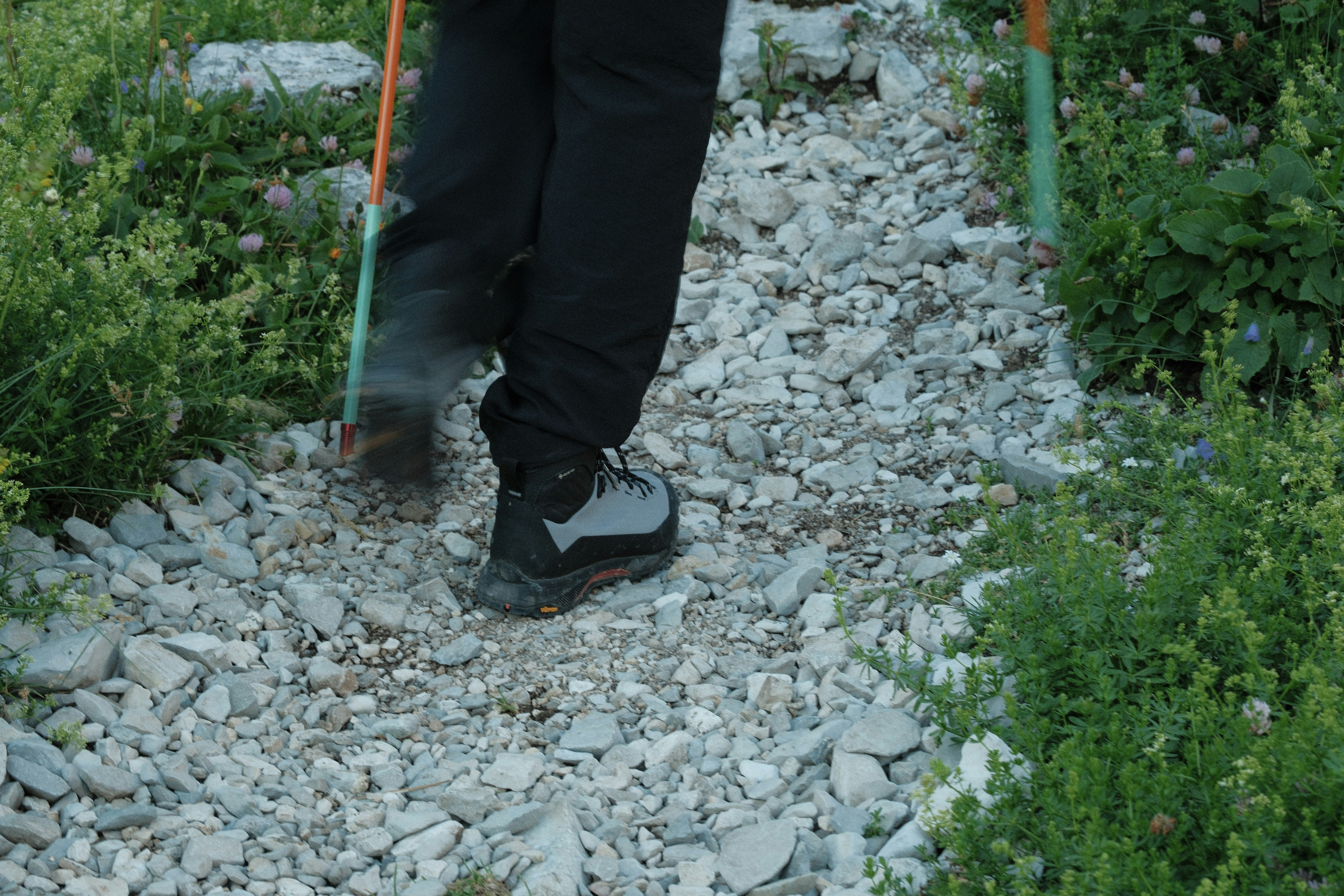 Booted Step on a Rocky Trail Through Greenery