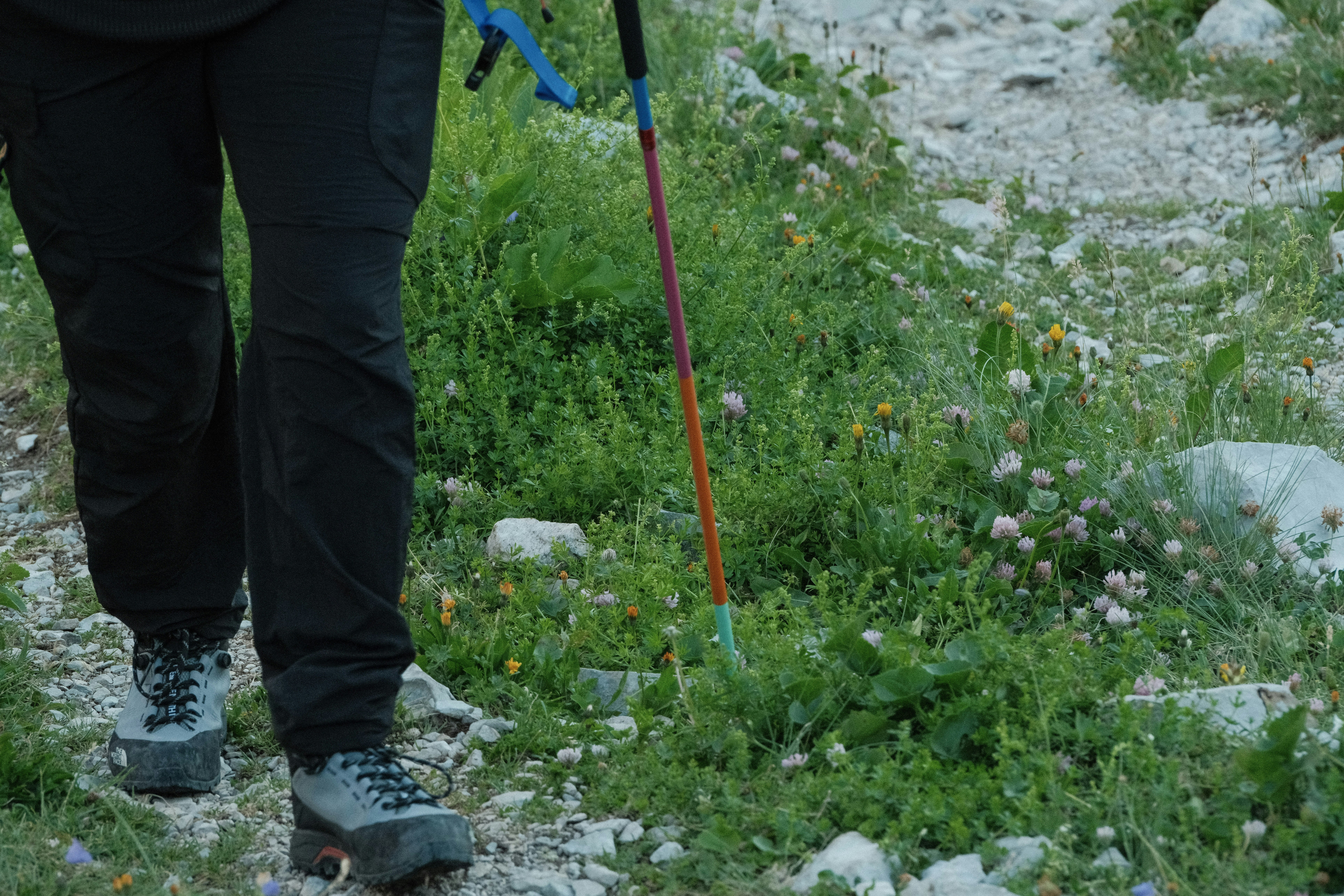 Sturdy Hiking Steps on a Rocky Trail
