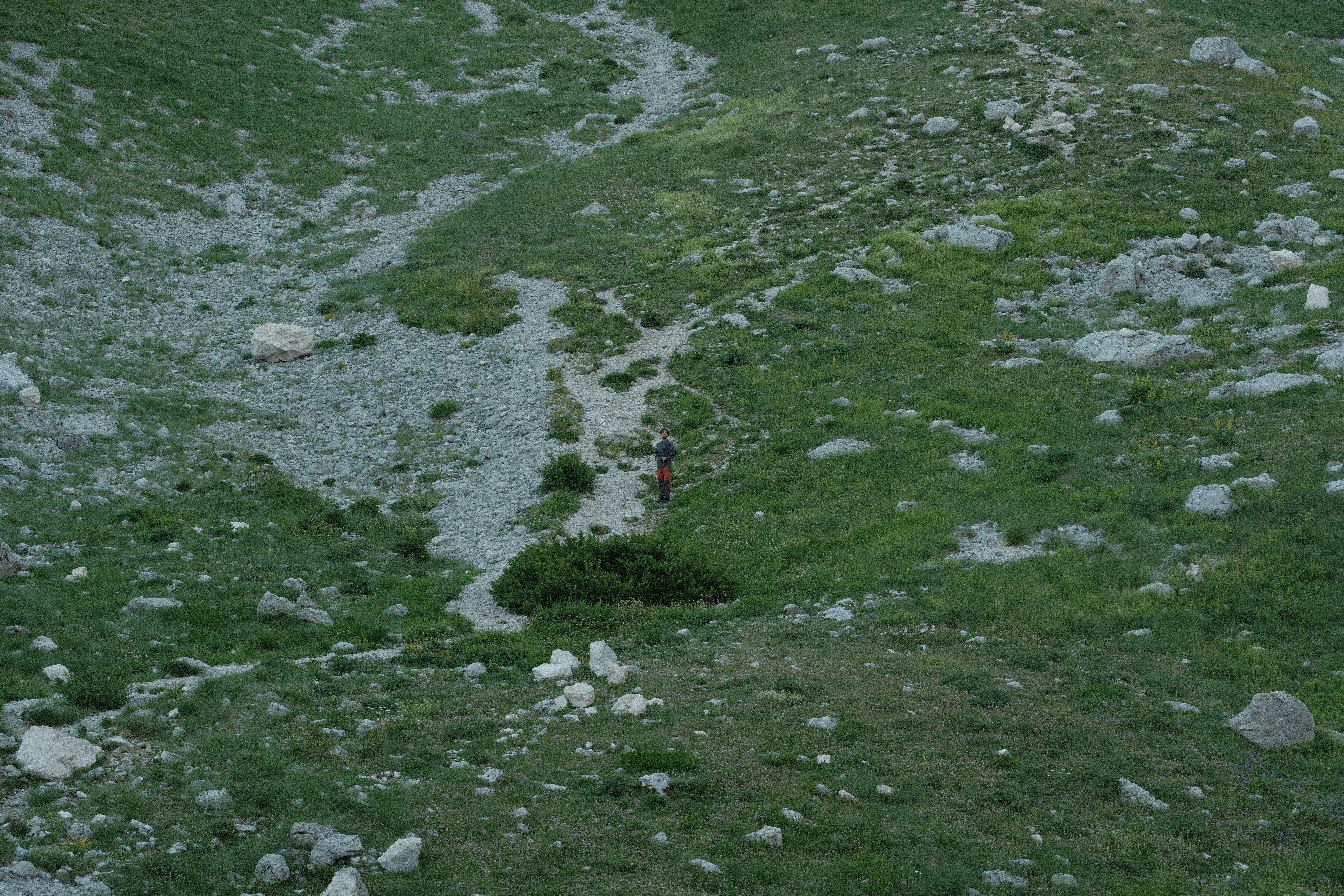 Trail Astride the Green Slope