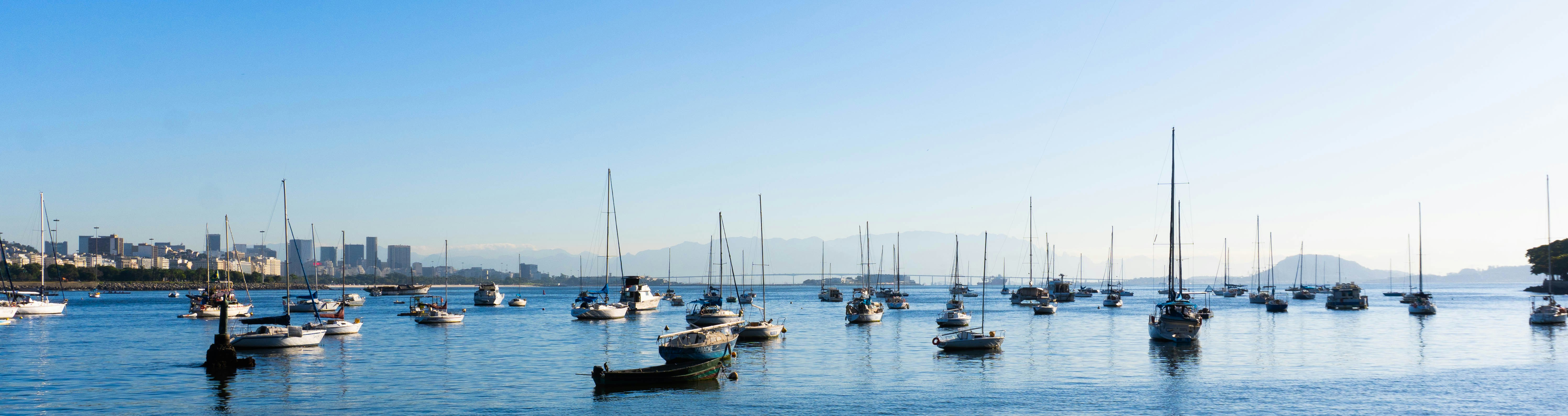 Harbor Lines: Sailboats Resting in a Serene Coastal Calm