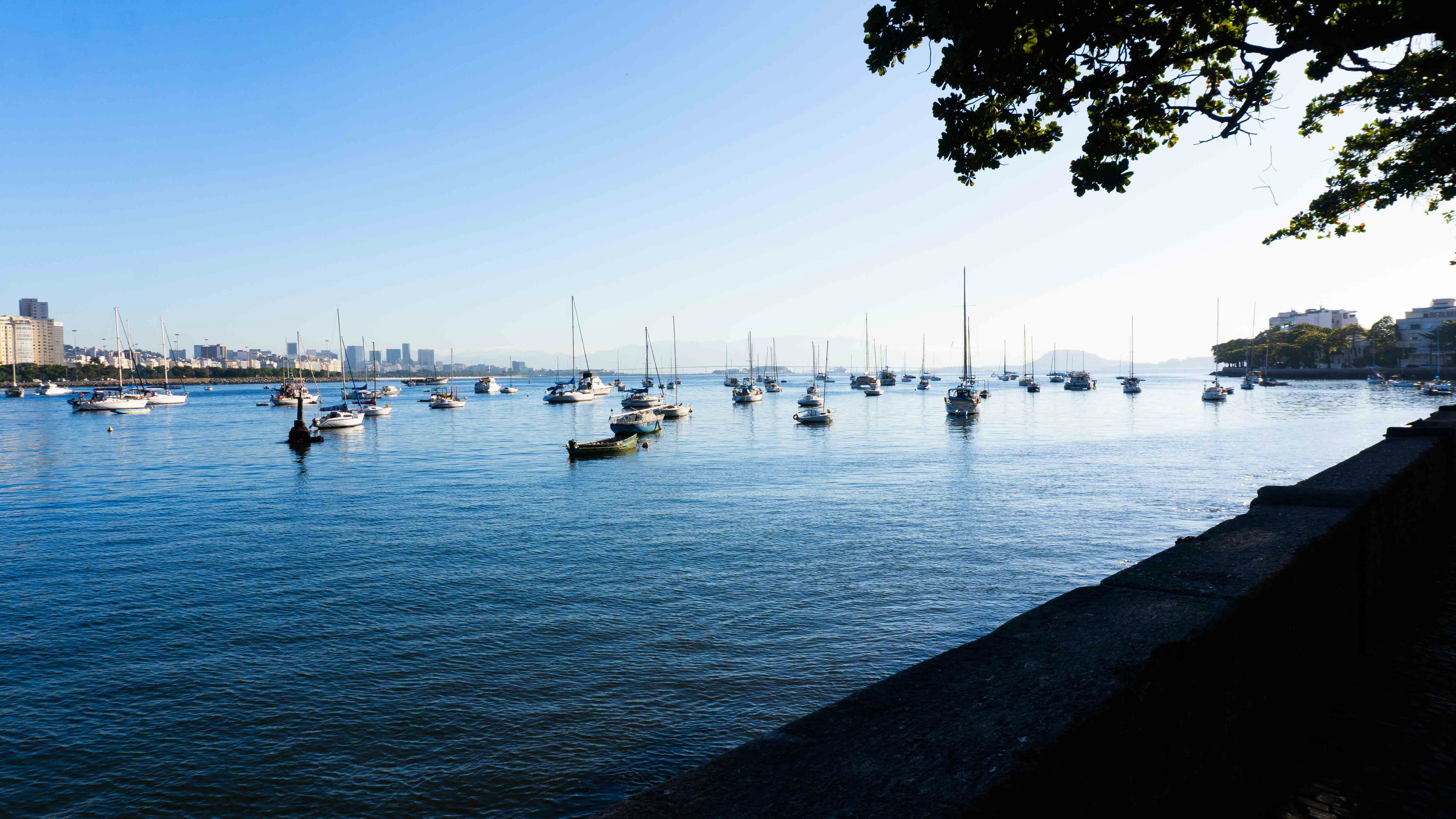 Harbor Reverie: Boats at Dappled Afternoon