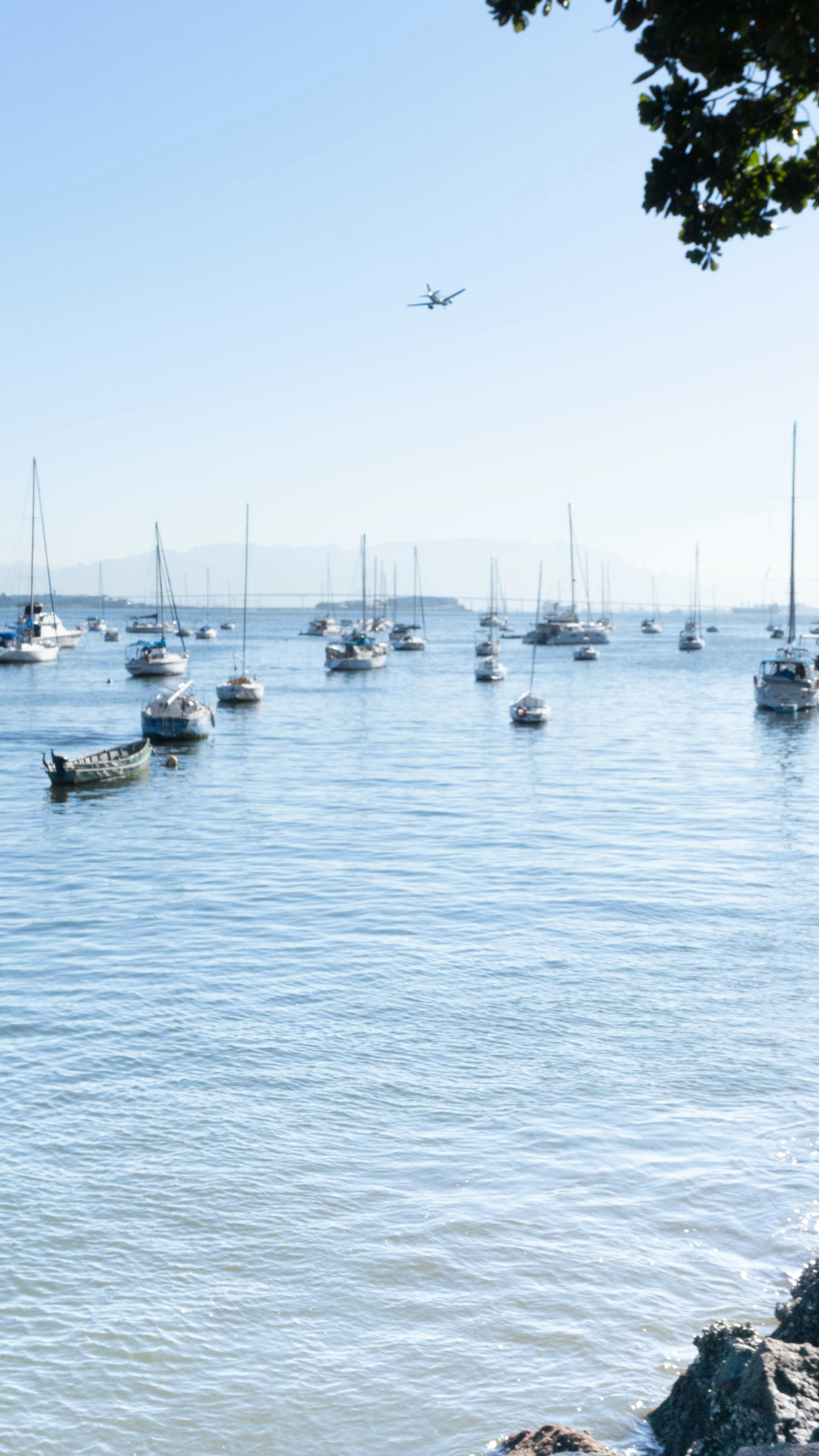 Midday Sojourn: A Quiet Fleet Under a Clear Sky