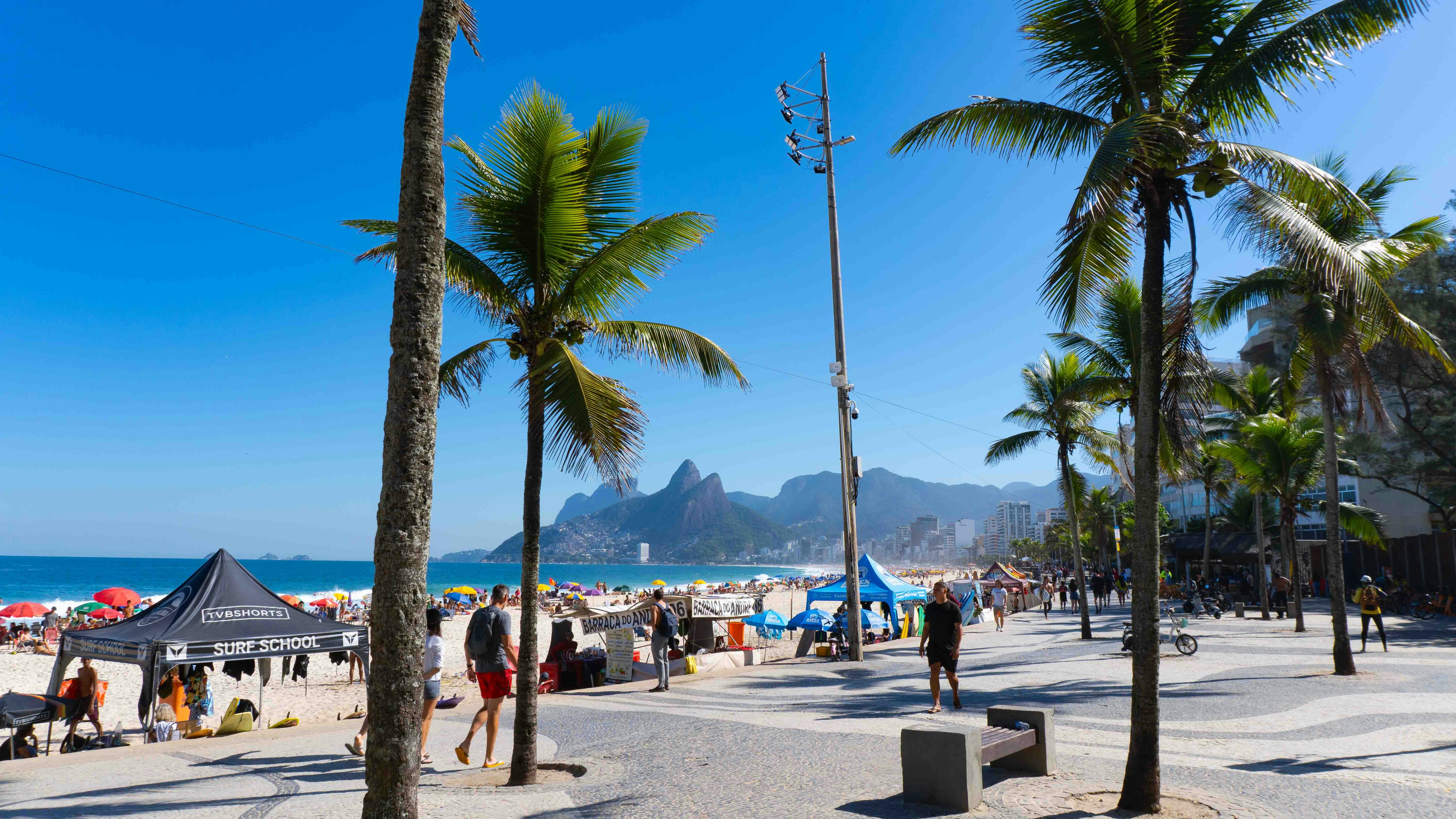 Sunlit Strand with Palm Arches and Sea-sculpted Dunes