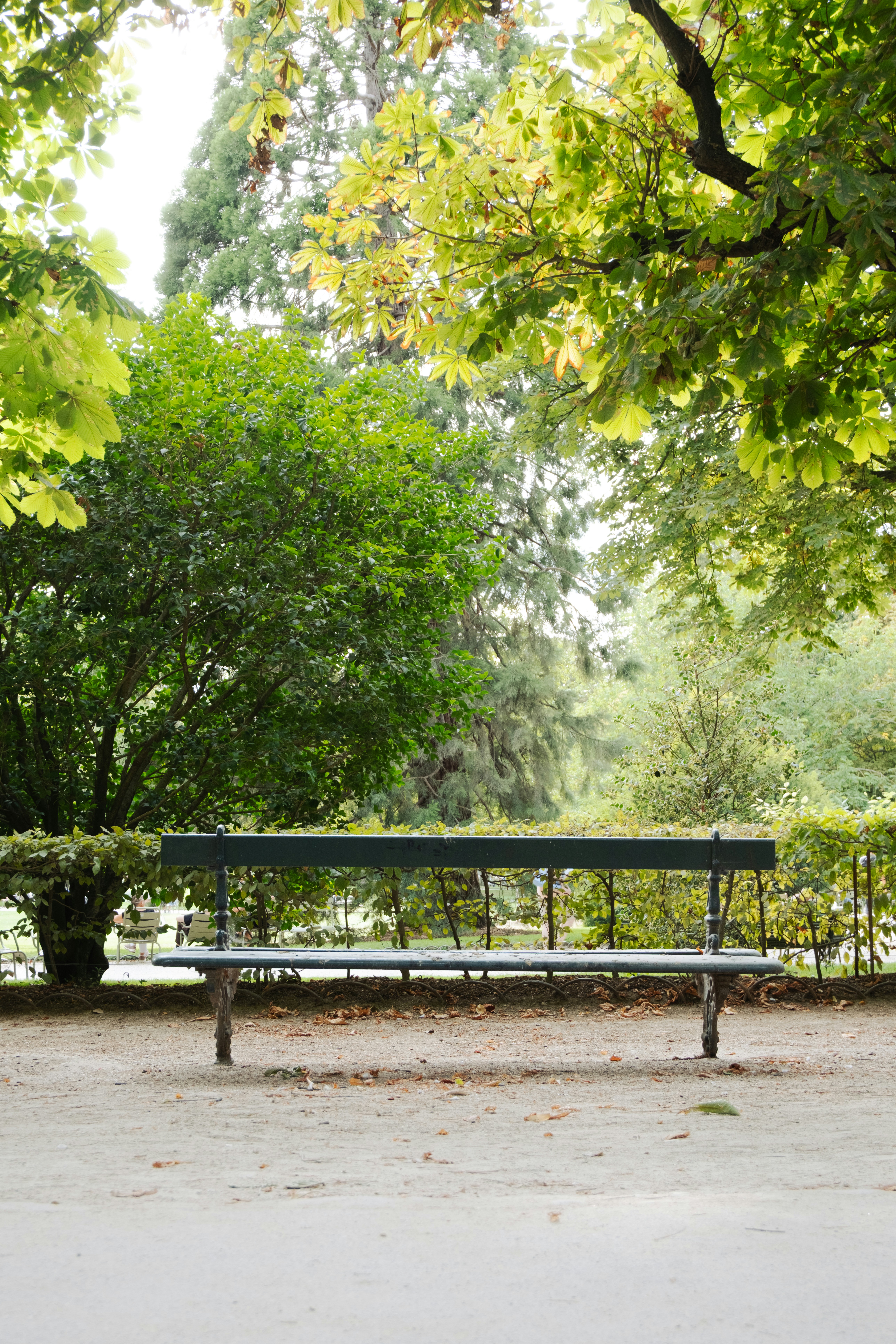 Quiet Park Rest: A Green Bench Beneath Dappled Light