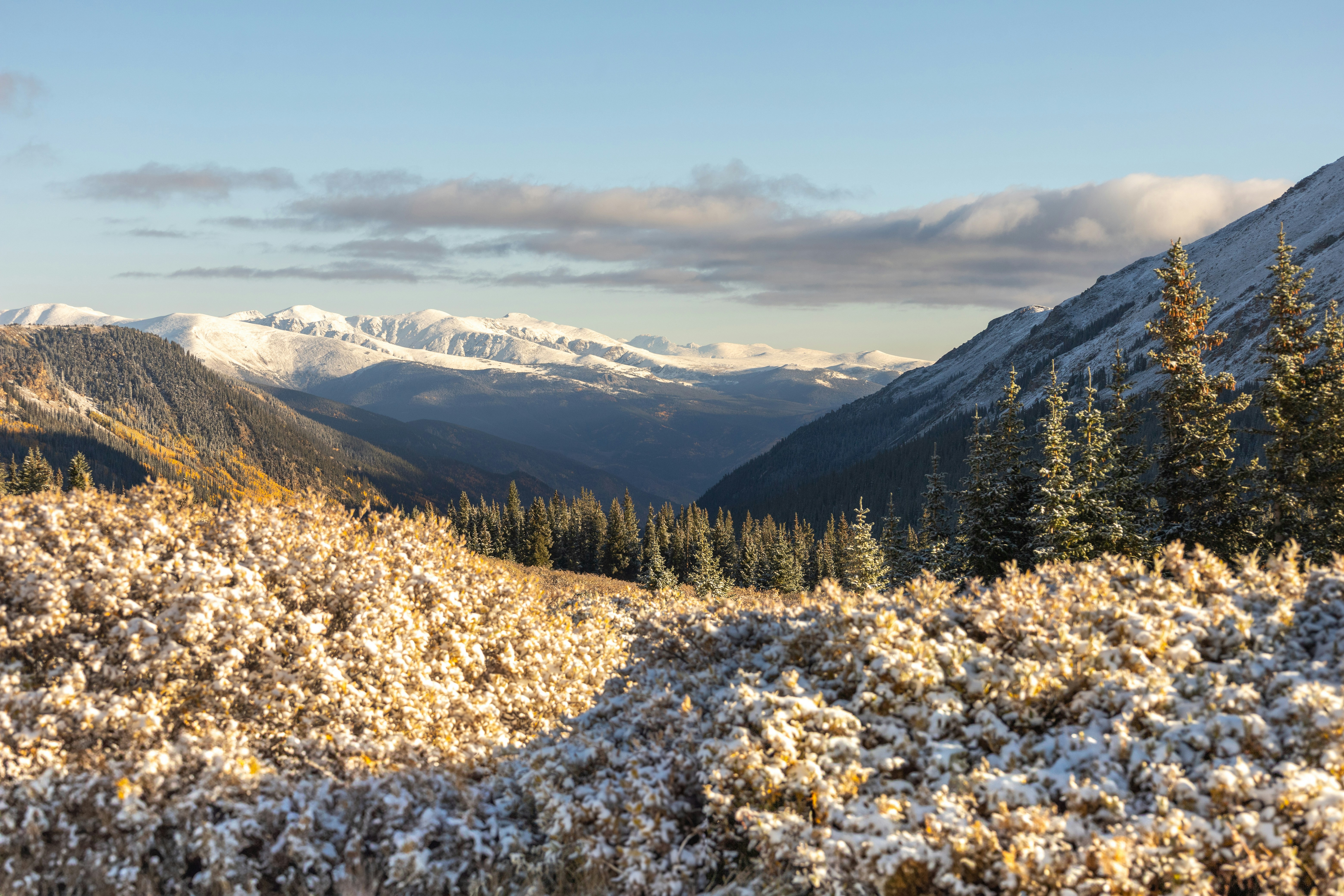 Snow-kissed ridge at golden hour