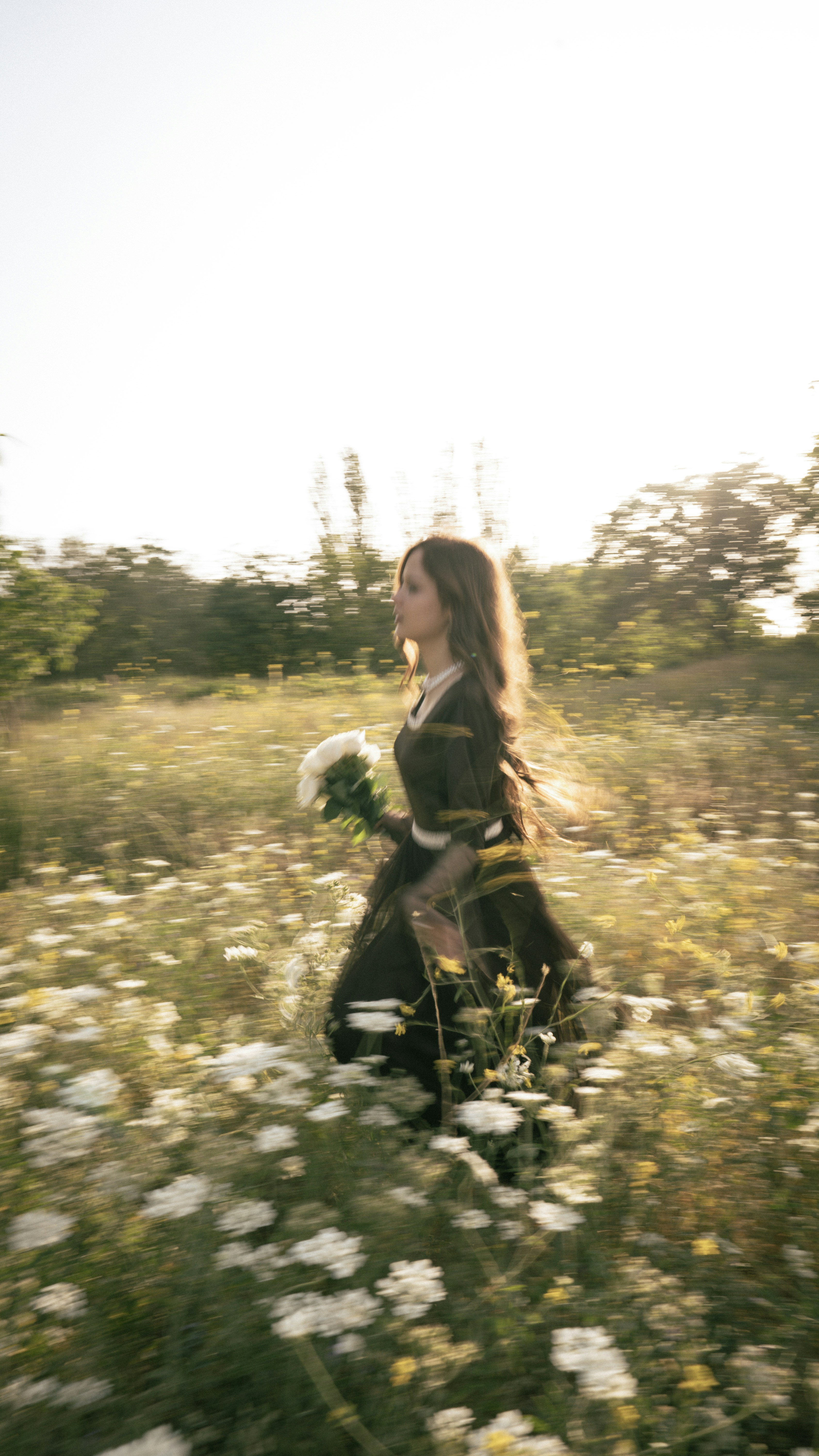 Bride in a Field of White Blooms at Golden Hour