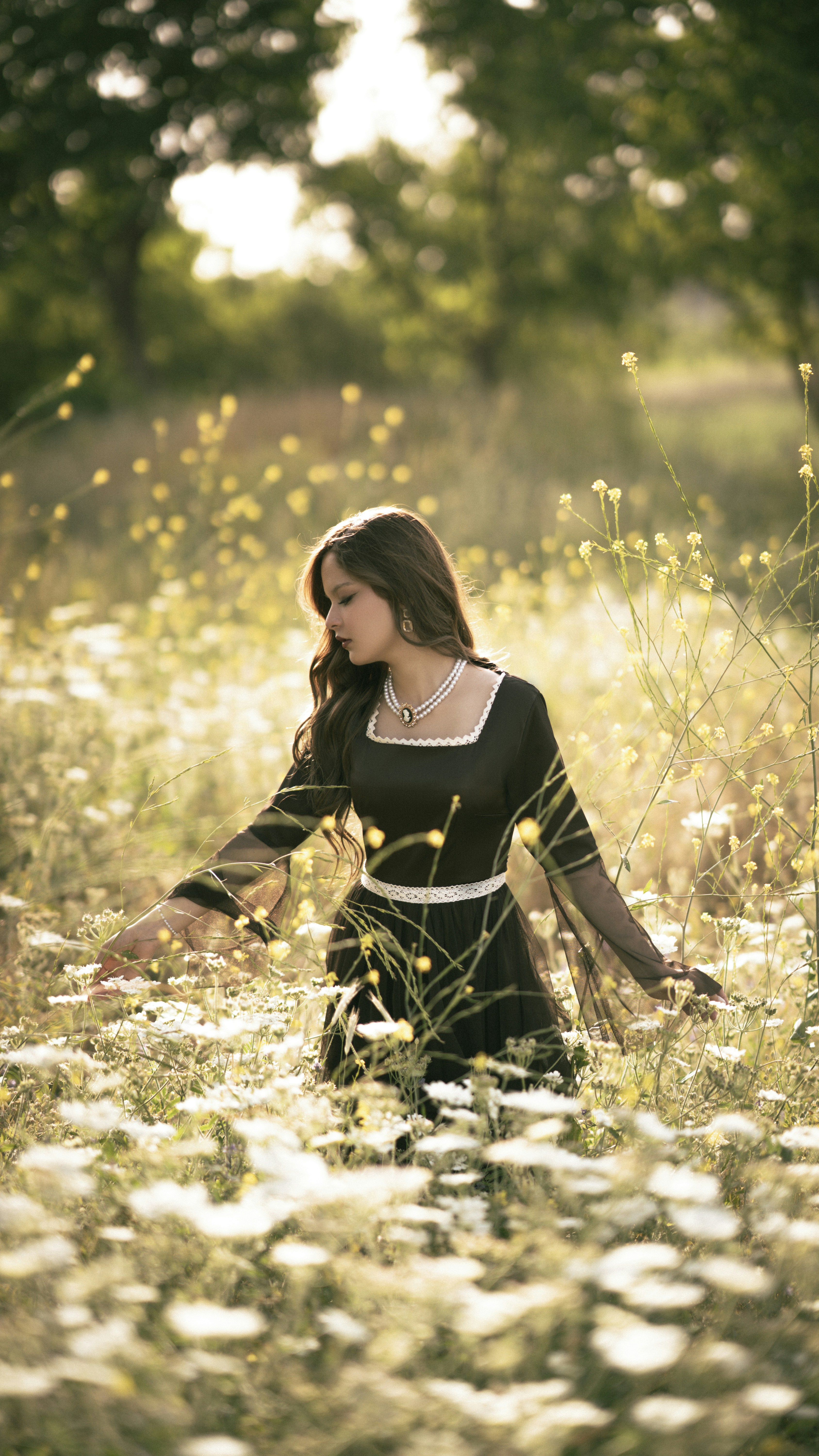 Field of Quiet Grace: A Portrait in Golden Light