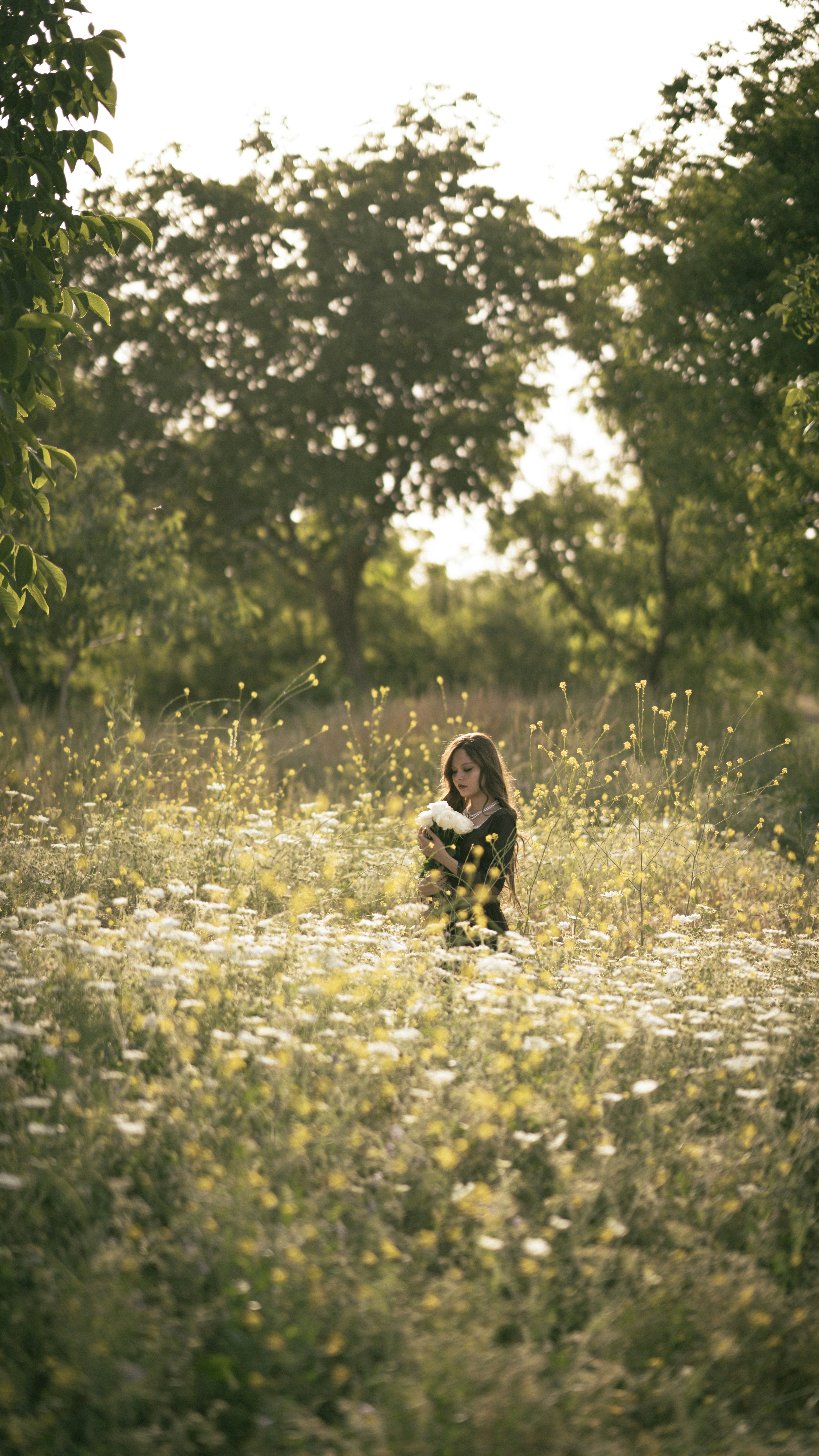 Field of Quiet Light: A Girl in the Meadow with Daisies