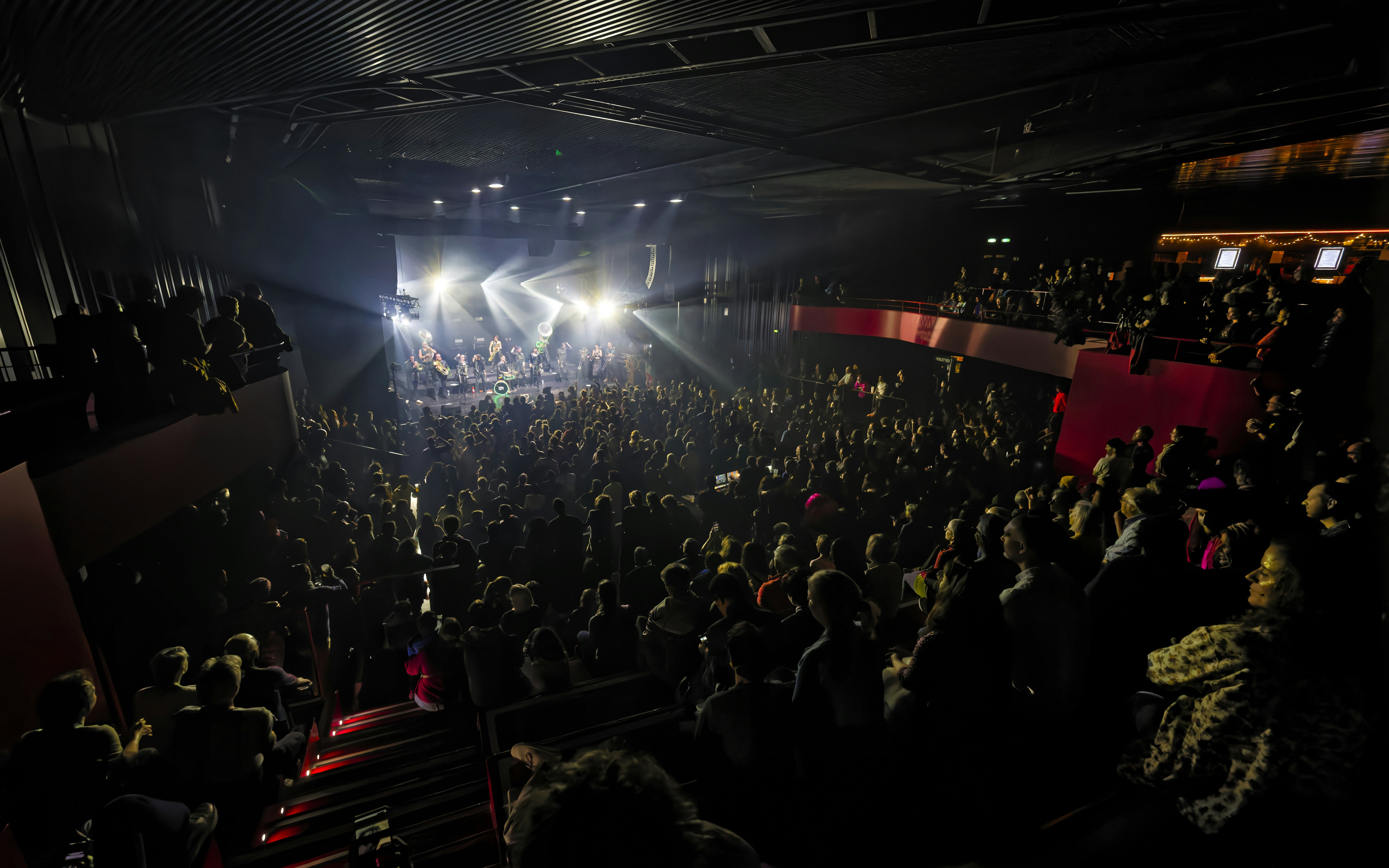 Spotlight Pulse: Crowd Faces the Band under Strobe and Smoke