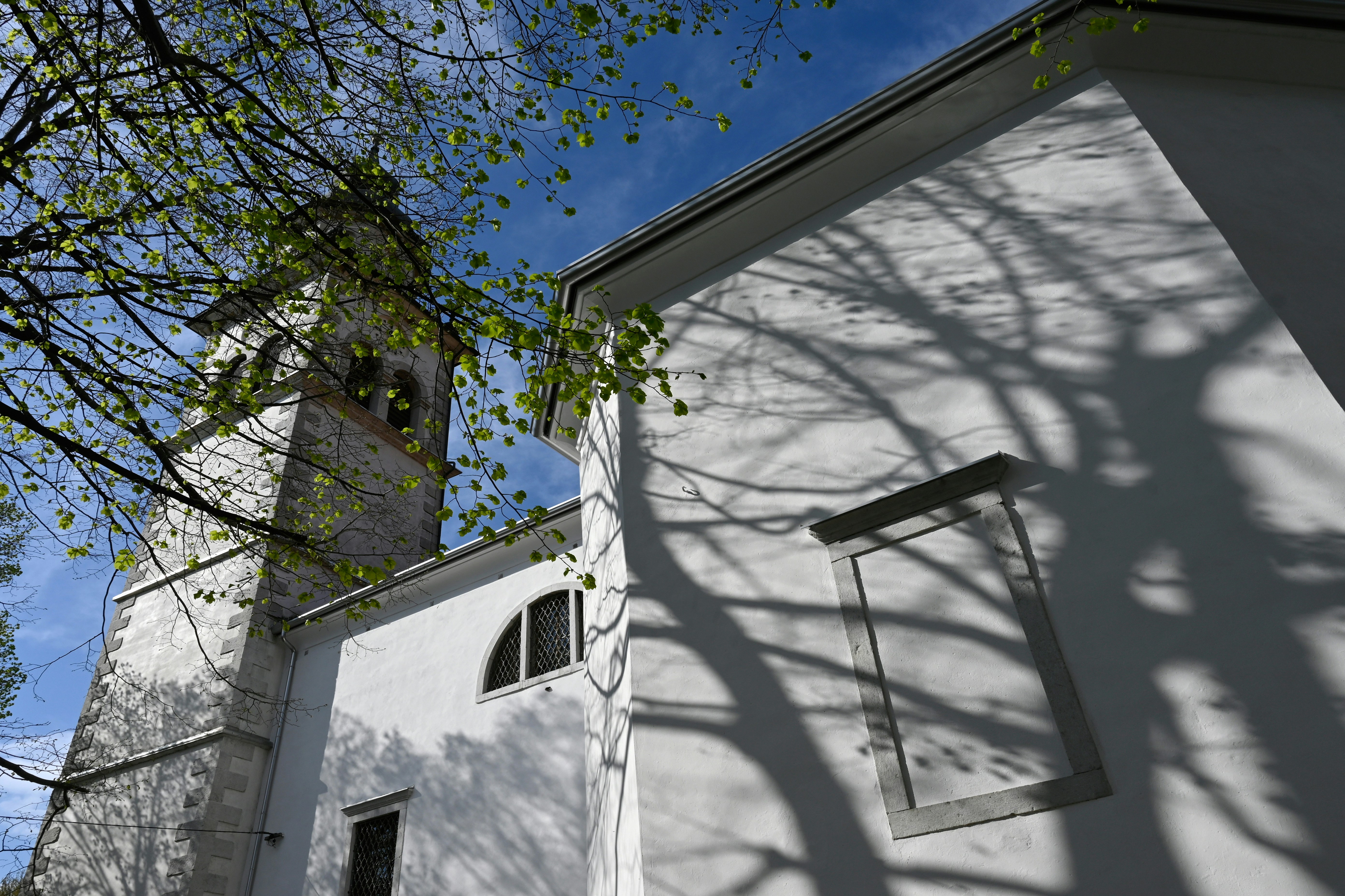Sunlit White Church Facade Reclaimed by Shadowed Tree Canopy