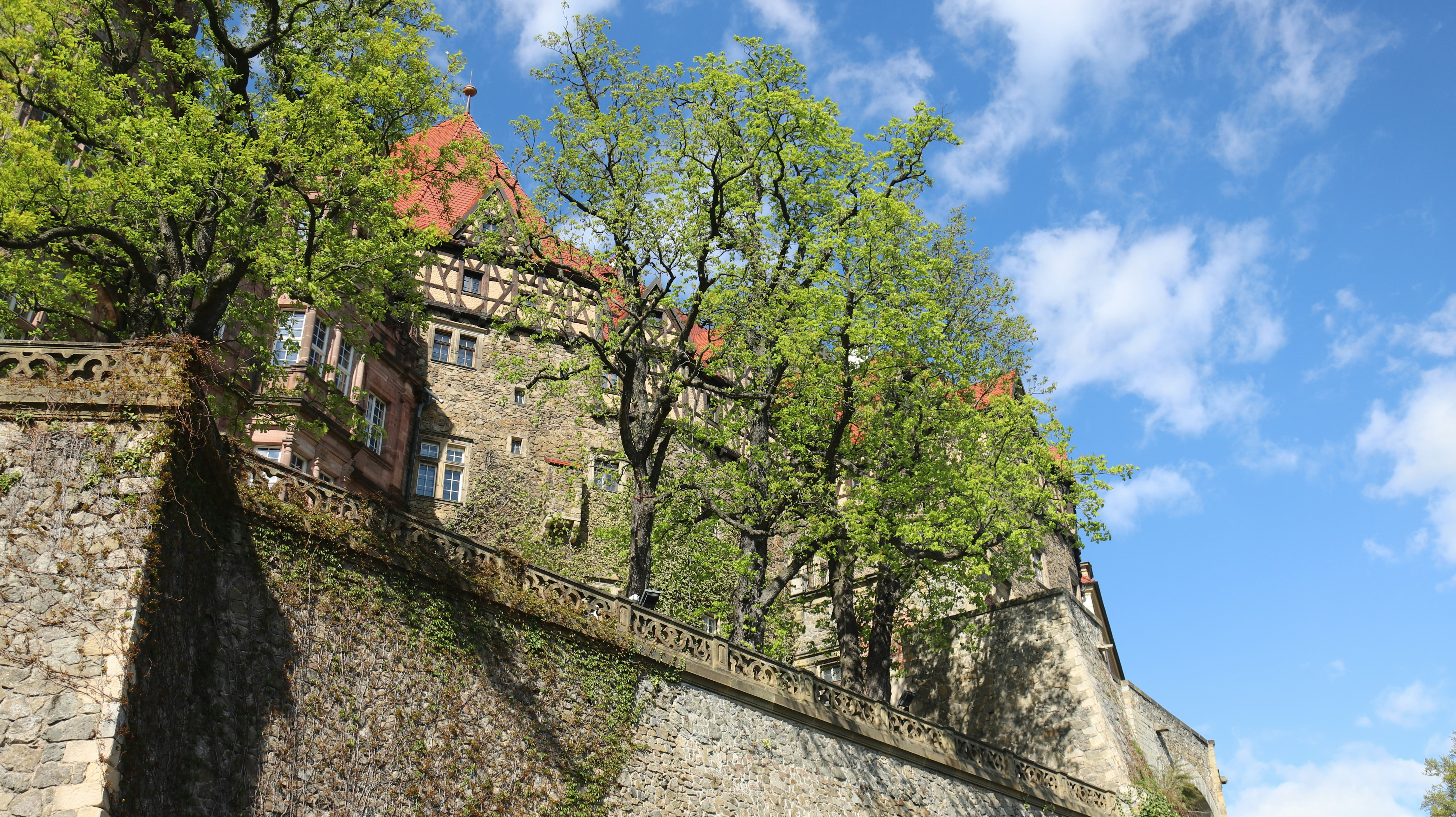 Castle Ramparts and Sunlit Trees Overlooking a Stone Walkway
