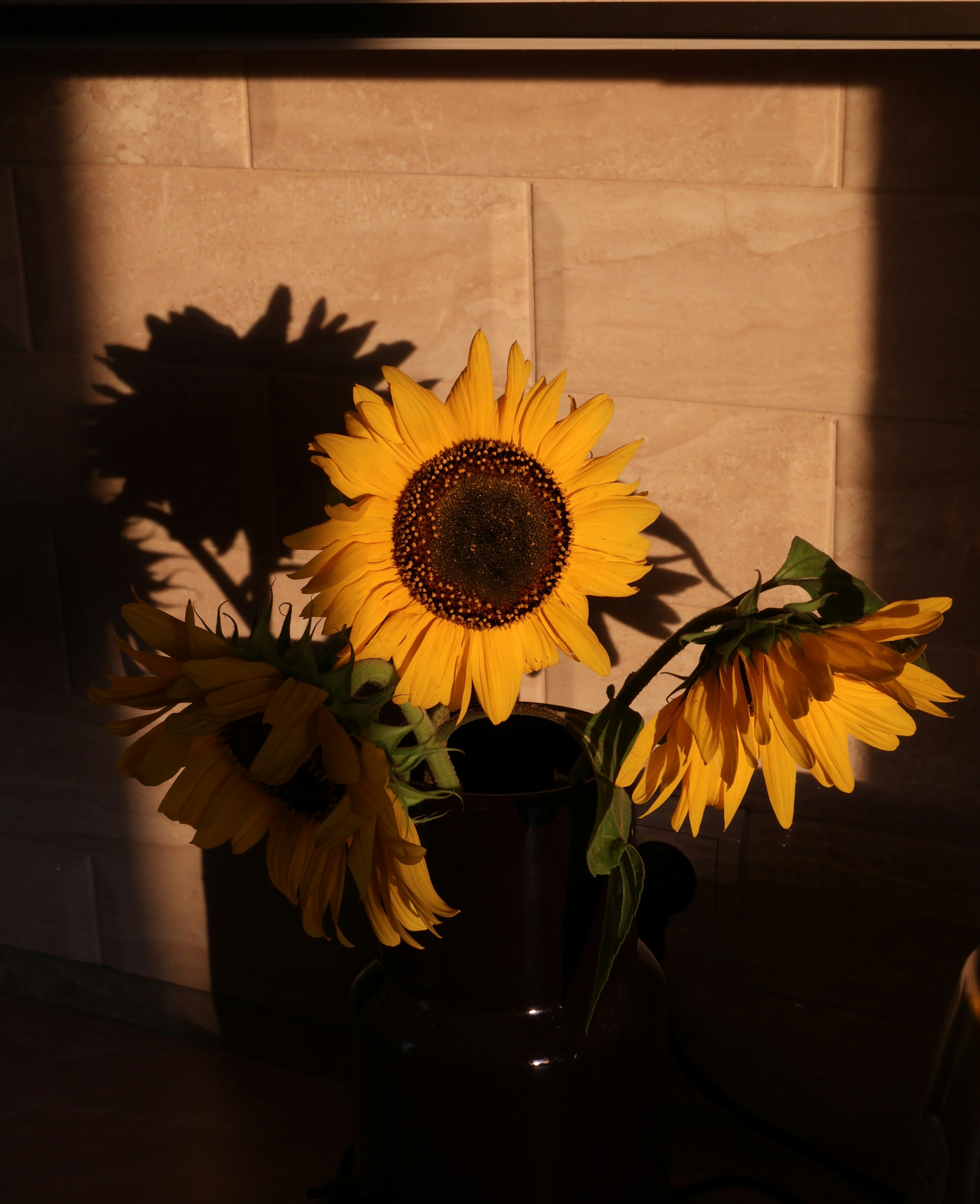 A bright bouquet of fresh sunflowers arranged in a simple glass vase, bringing warmth and natural beauty to the space.