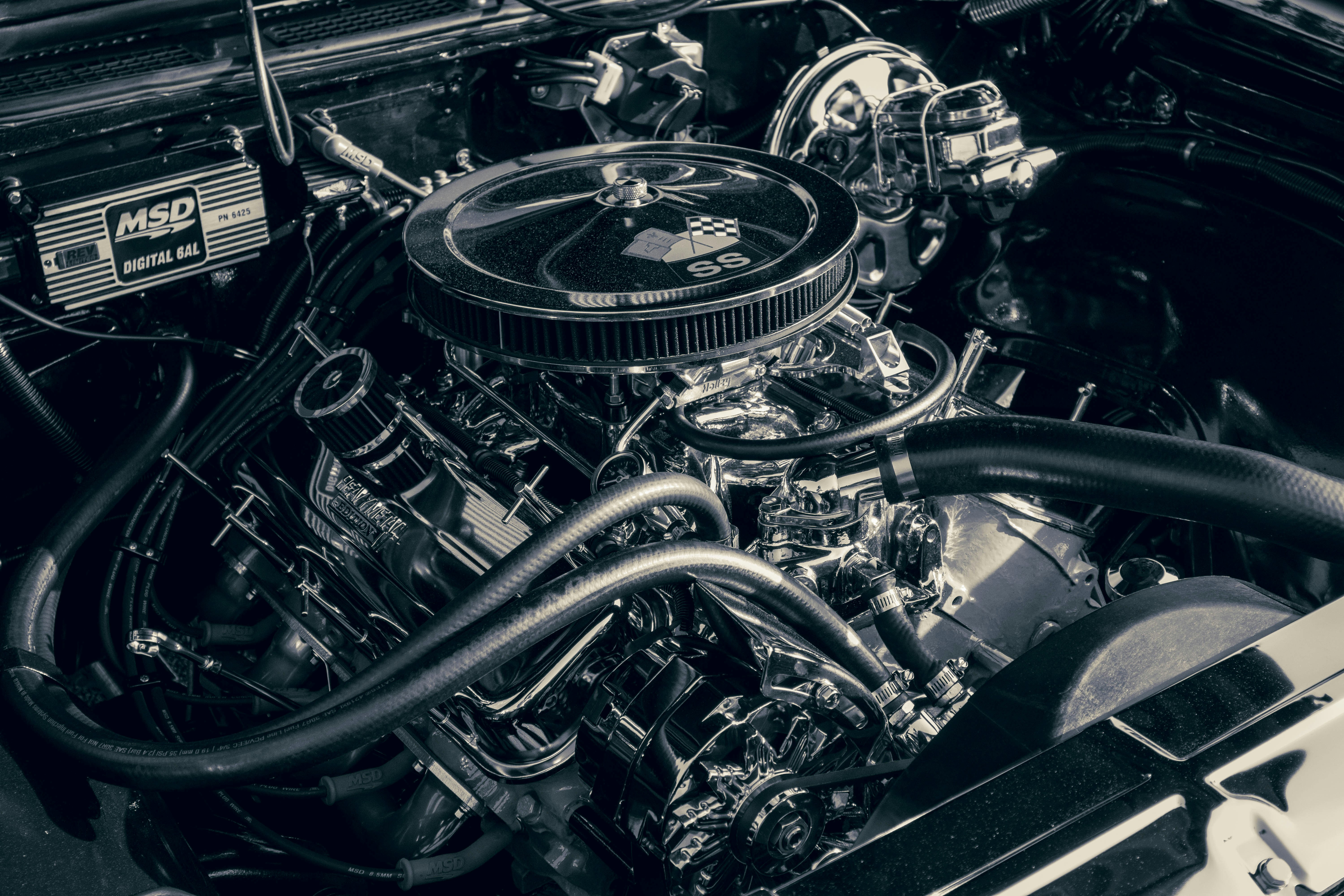 The Heart of the Beast: A Chrome-Glinted V8 Underhood