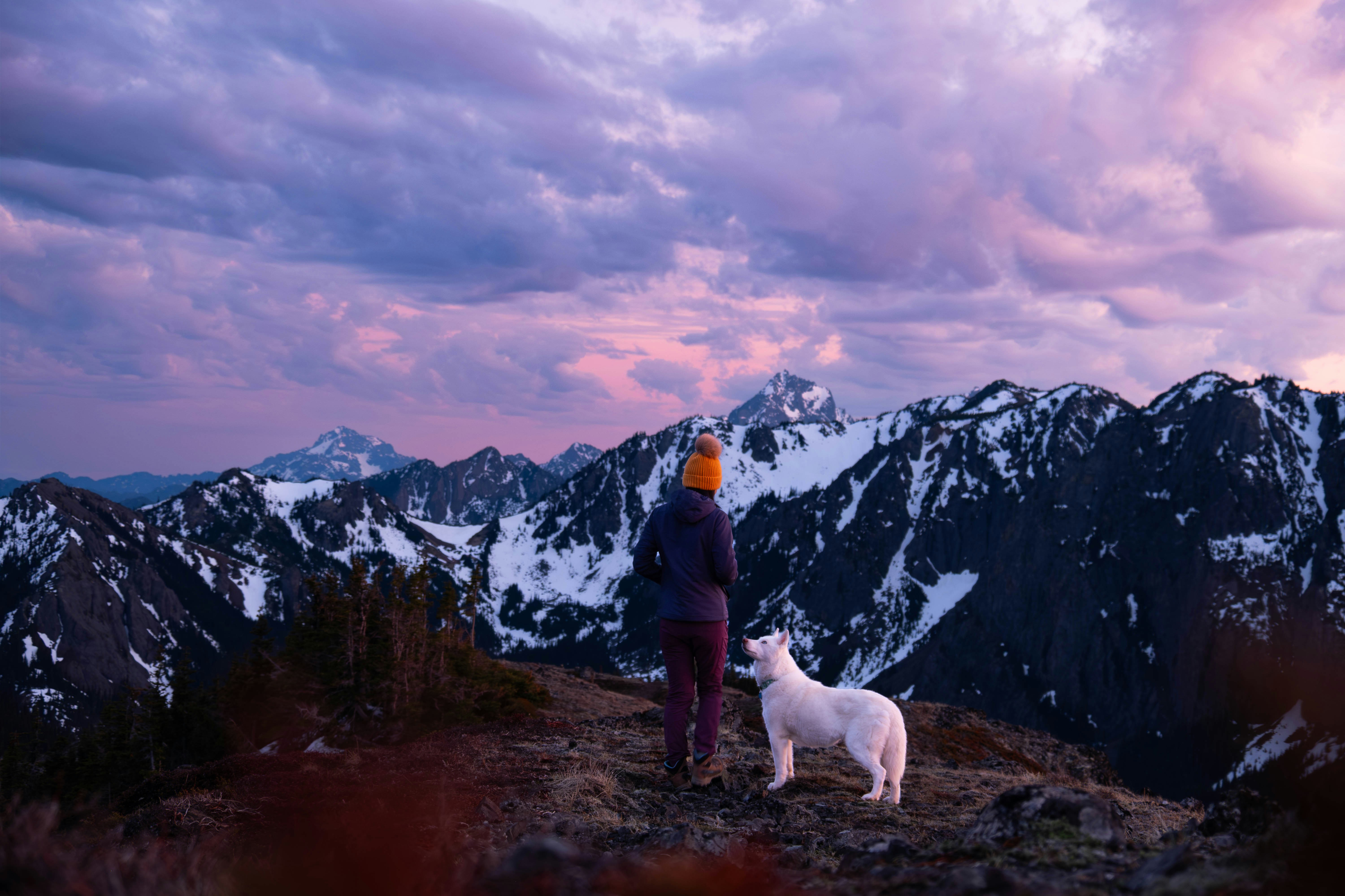 Watcher at the Rime: A Person and a White Dog Amid Alpine Twilight