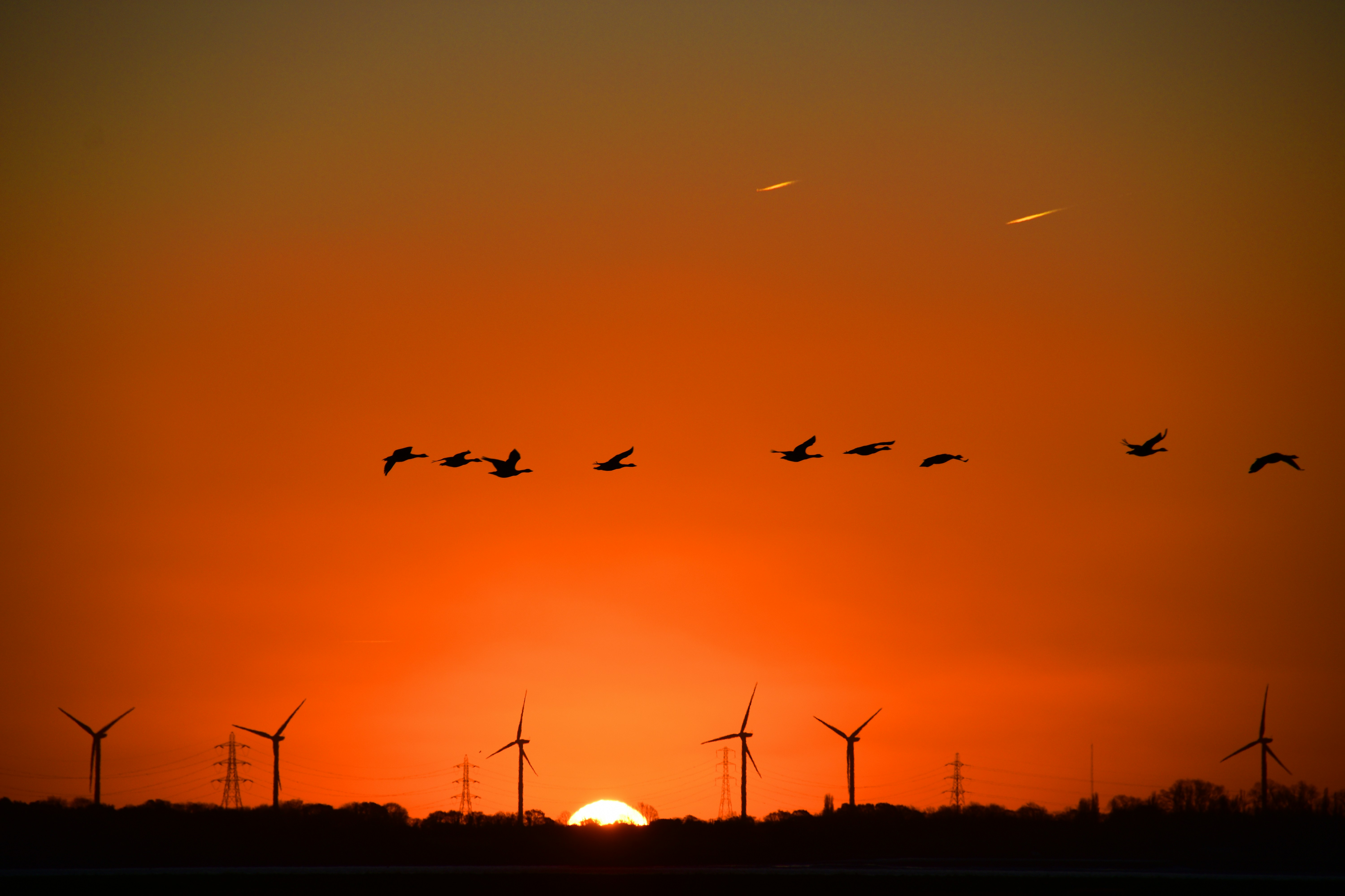 Sunrise Flight Over the Wind Farm