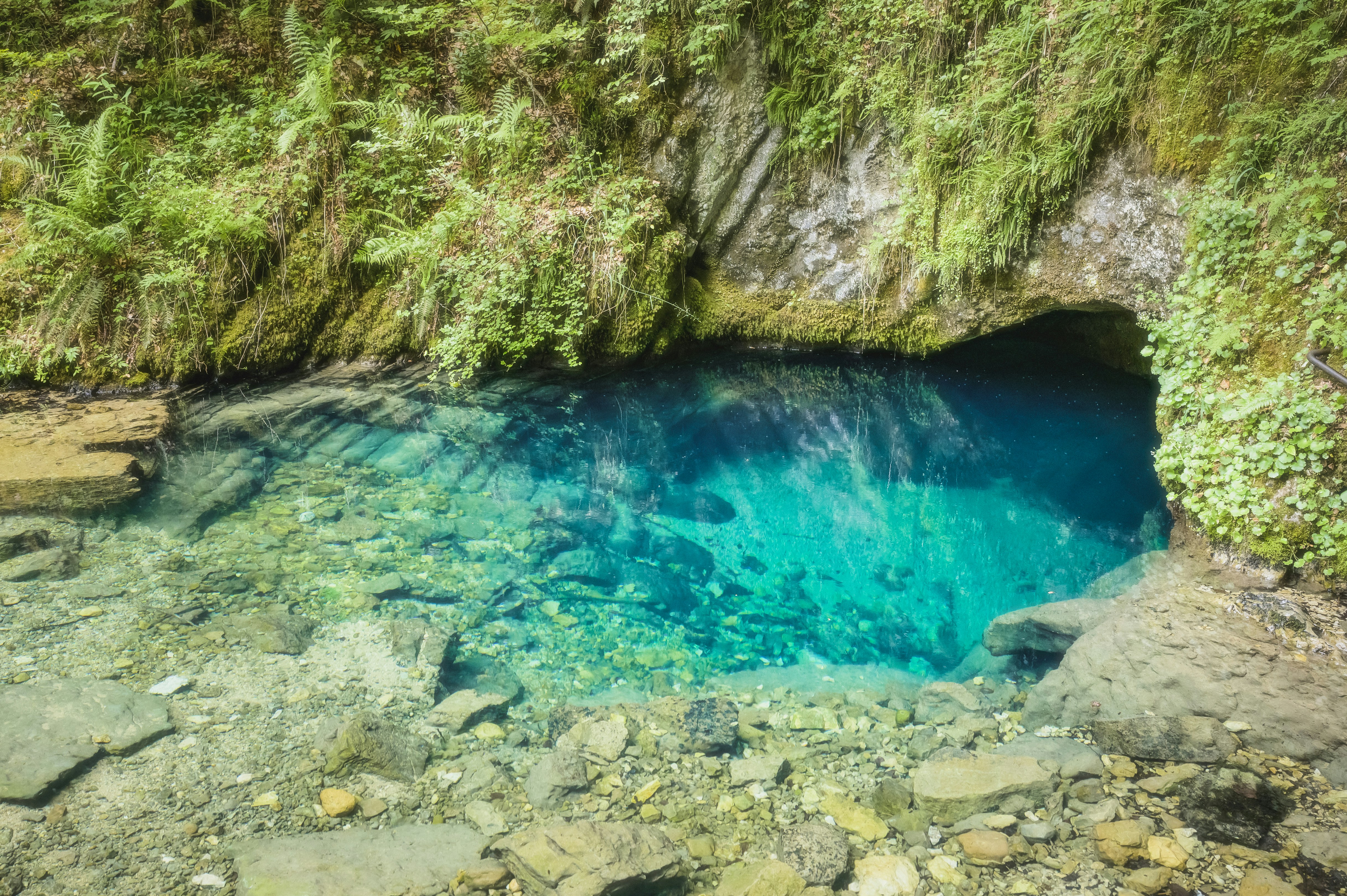 Emerald Cavern Pool: Sunlit Turquoise Depths Beneath Verdant Overhang